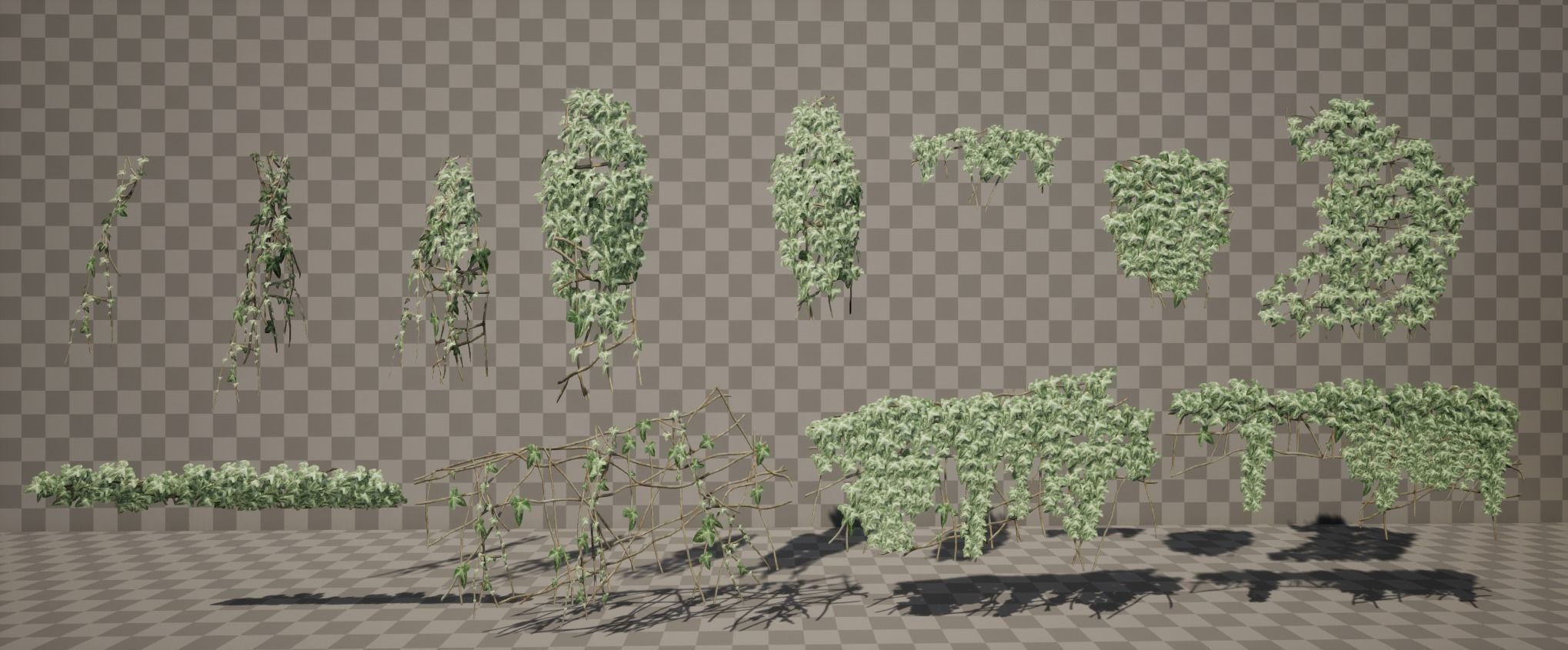 3D model Optimized Ivy Pack VR / AR / low-poly | CGTrader