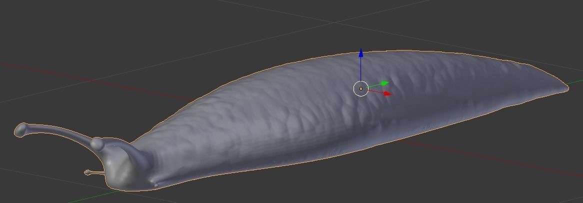 slug slug slug snail on plate 3D model rigged | CGTrader