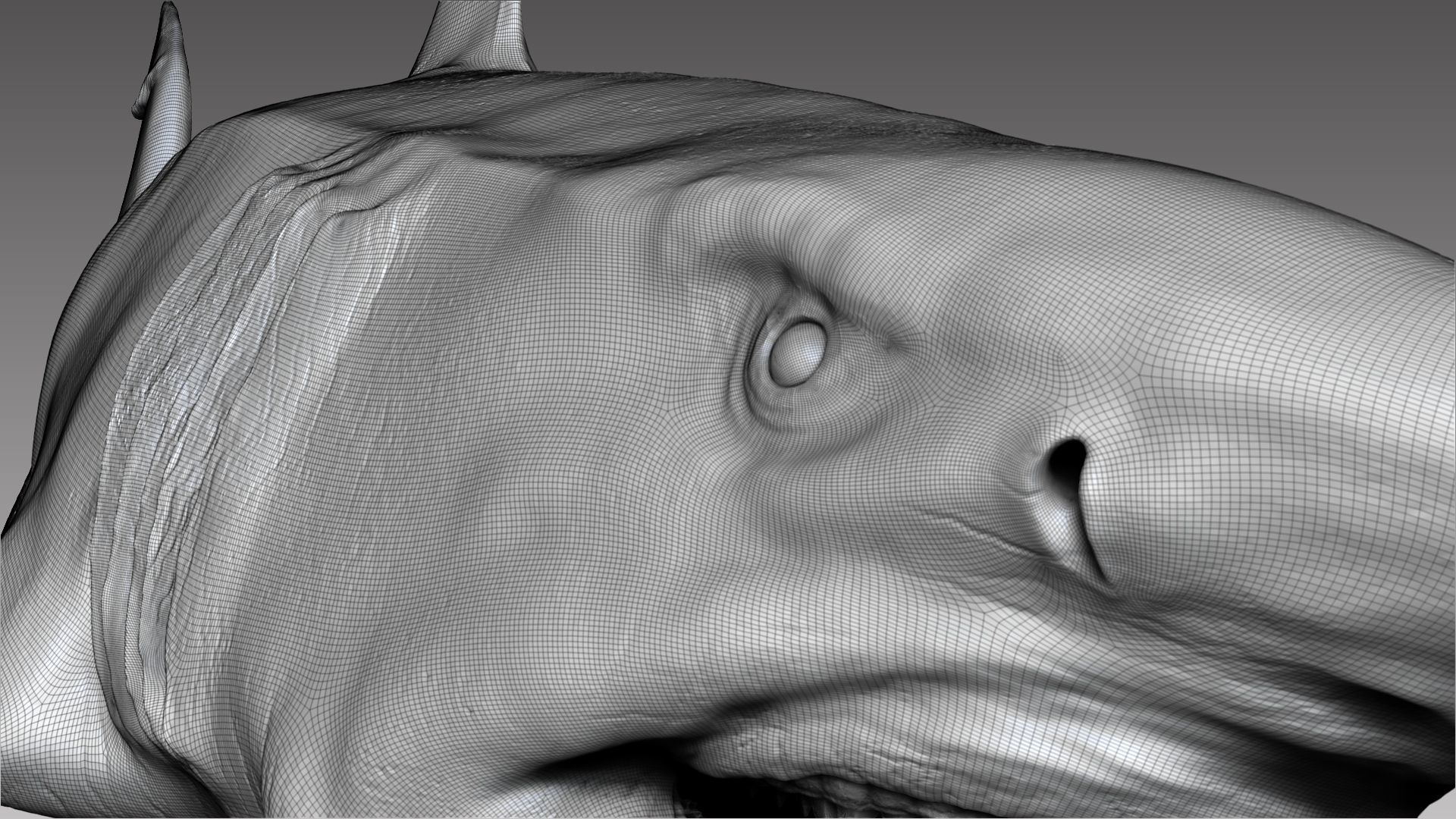 Megalodon SCULPT Project 3D model | CGTrader