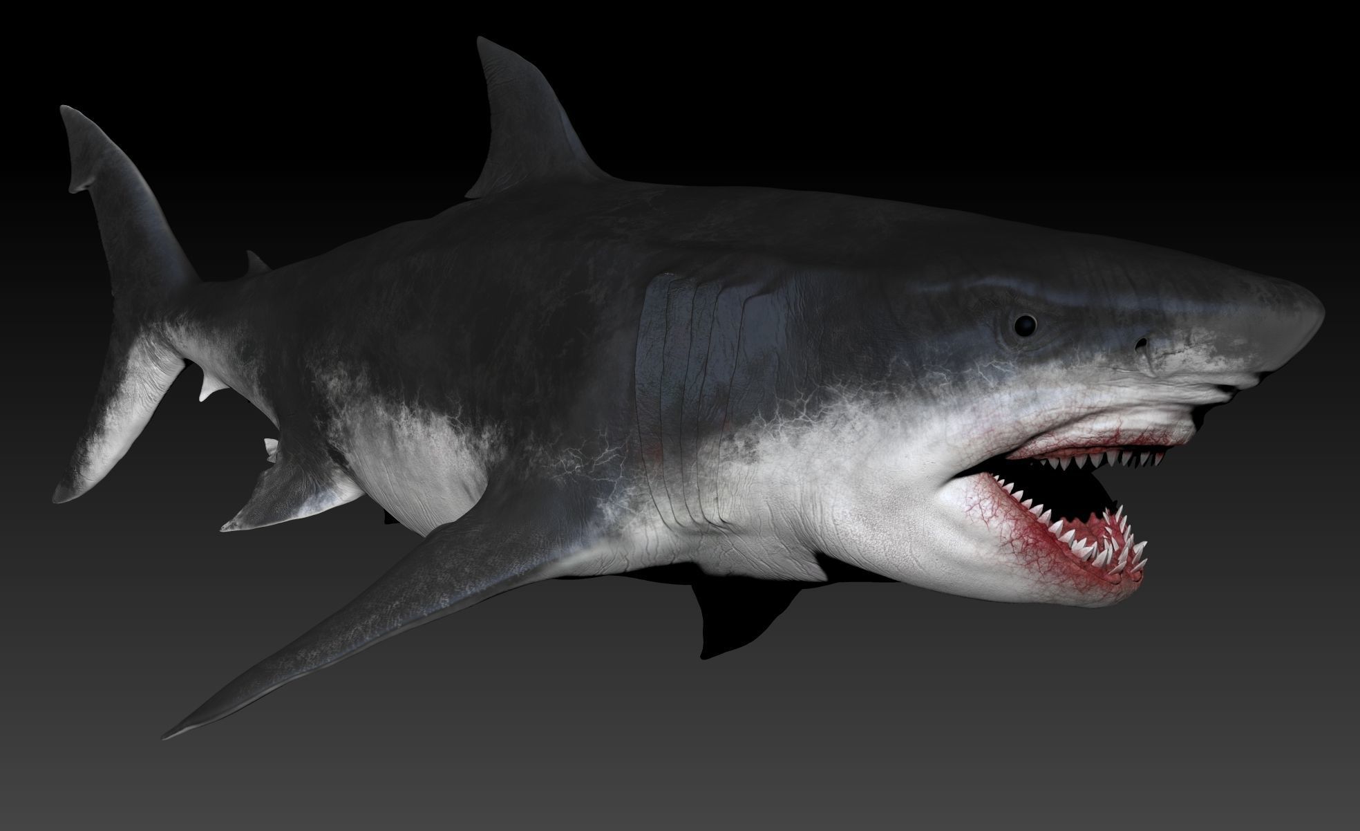 Megalodon SCULPT Project 3D model | CGTrader