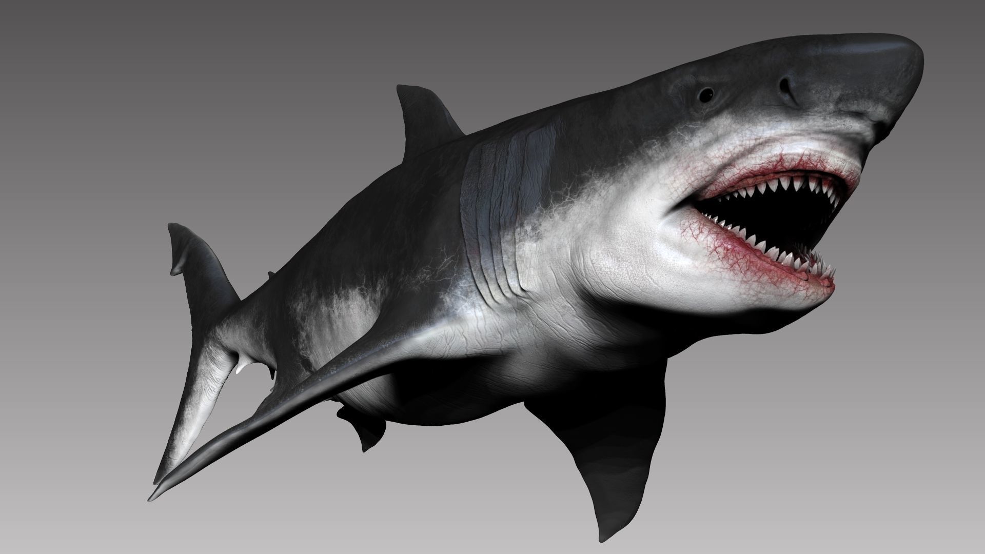 Megalodon SCULPT Project 3D model | CGTrader