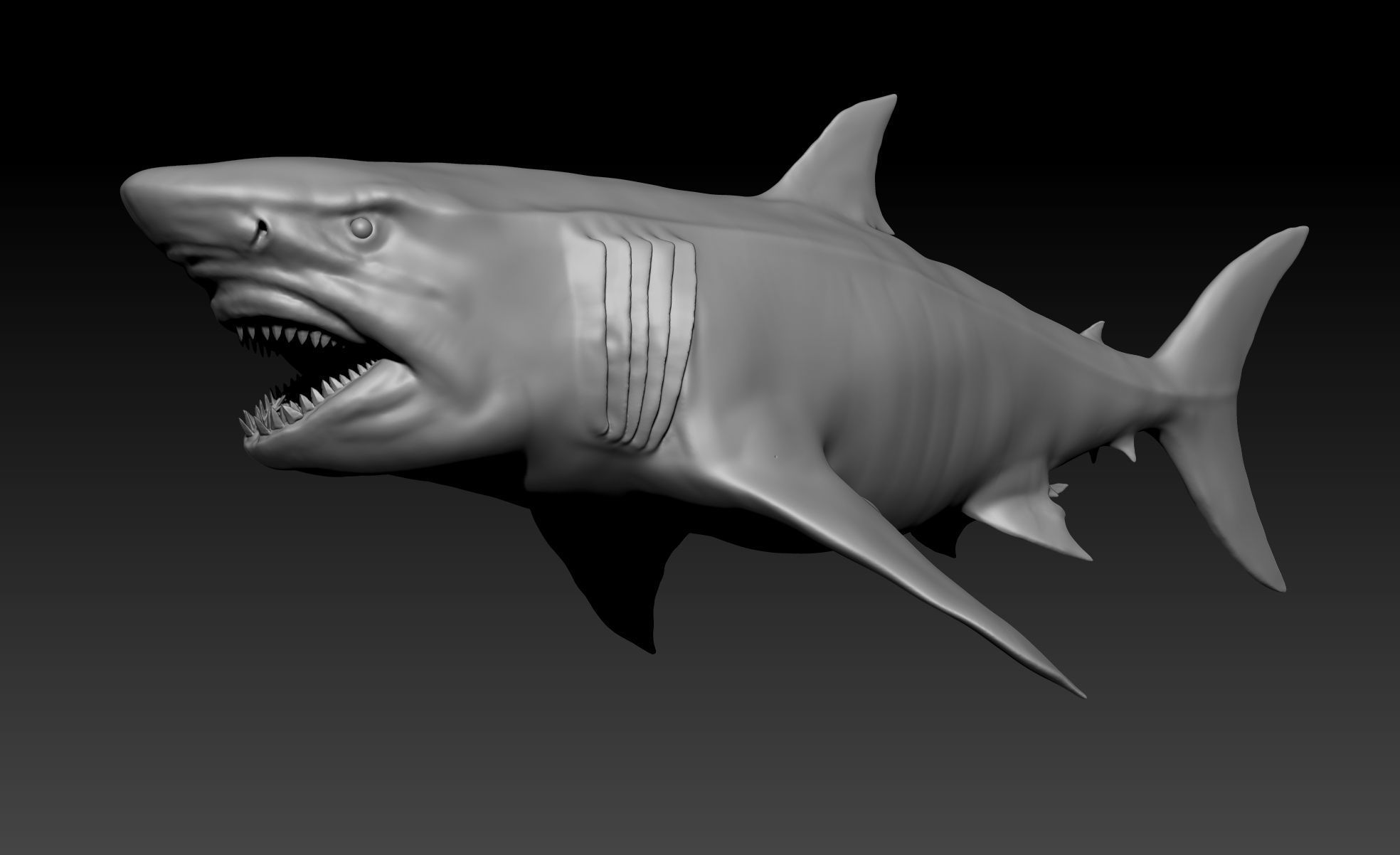 Megalodon SCULPT Project 3D model | CGTrader