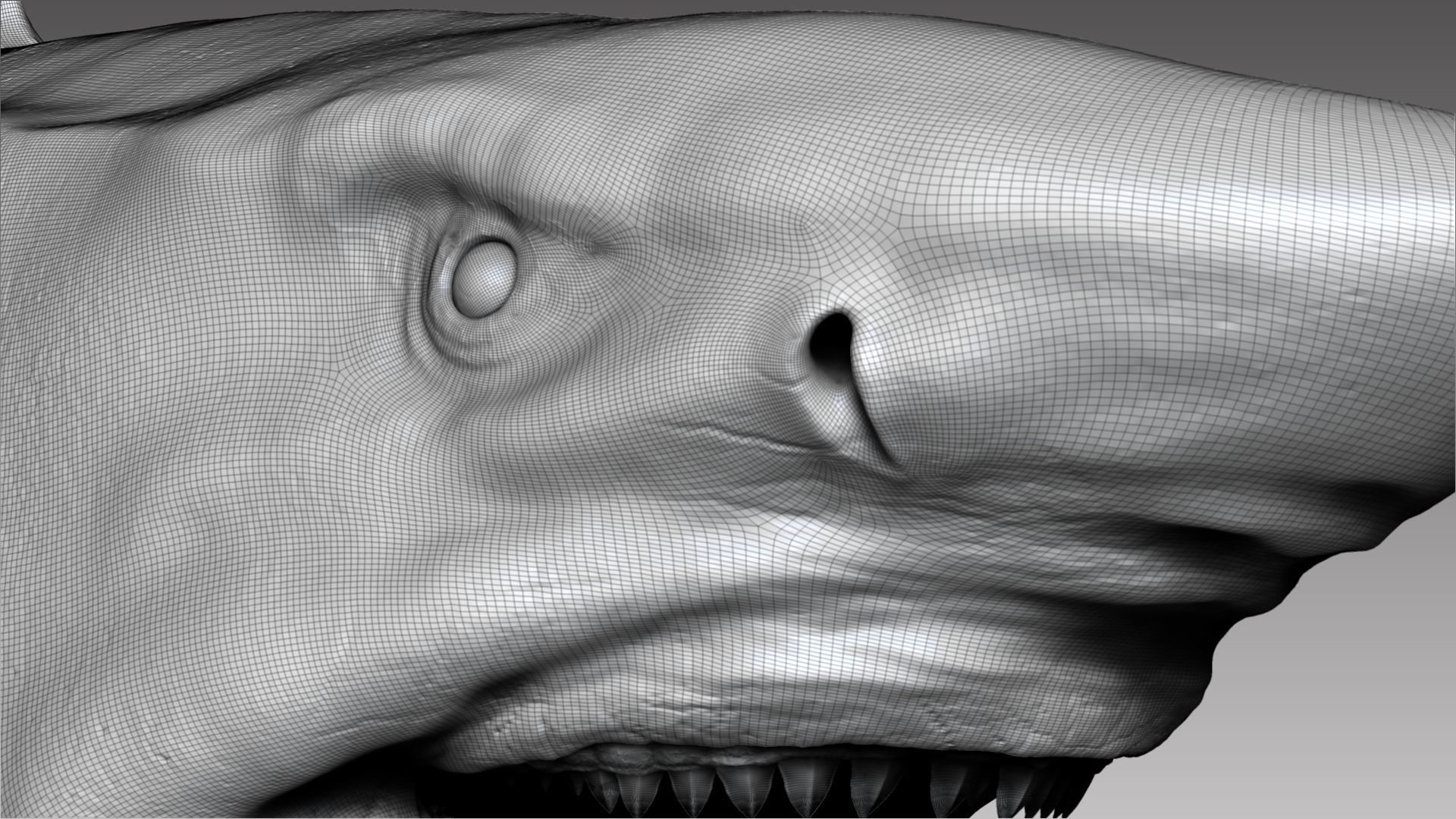 Megalodon SCULPT Project 3D model | CGTrader