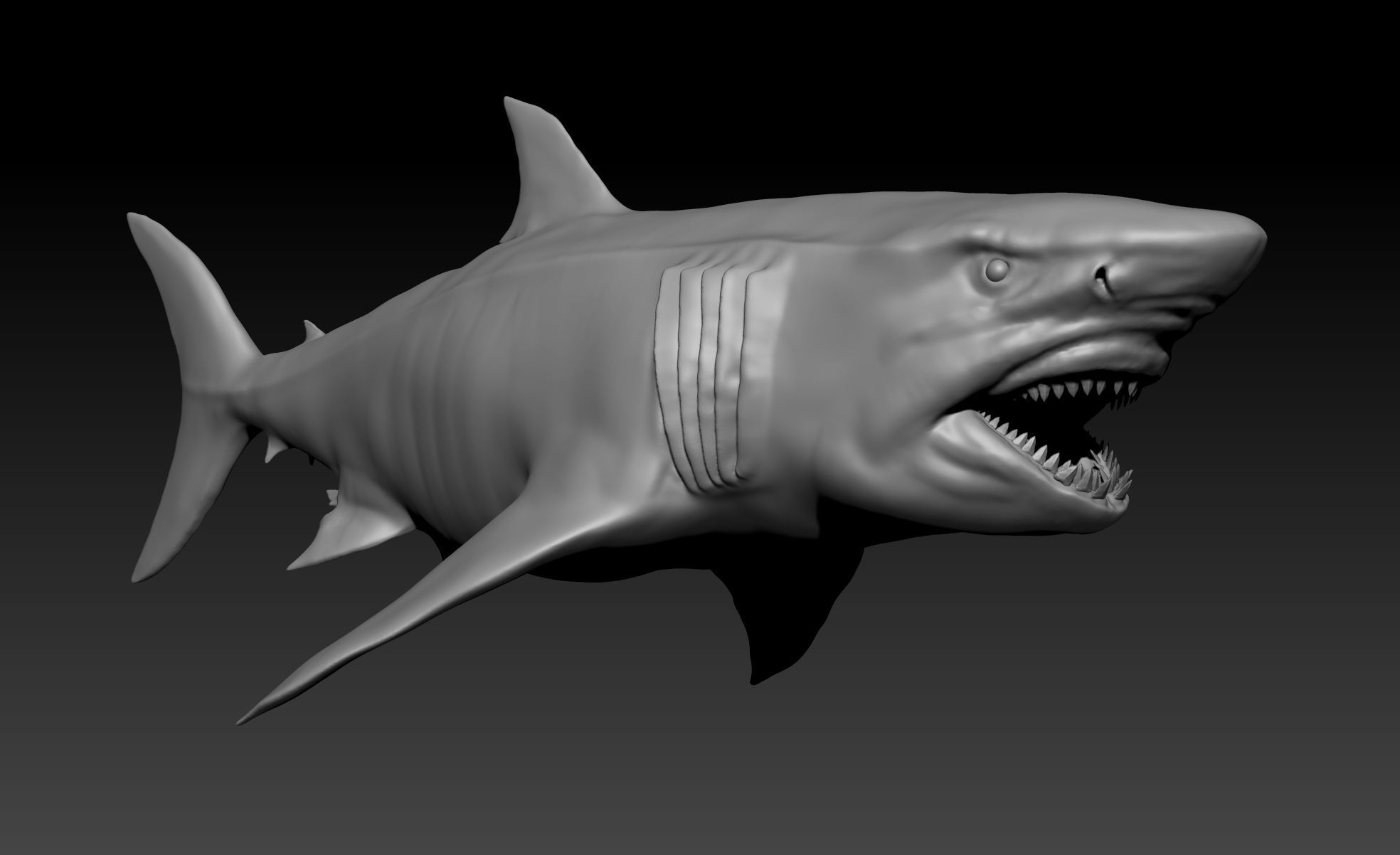 Megalodon SCULPT Project 3D model | CGTrader