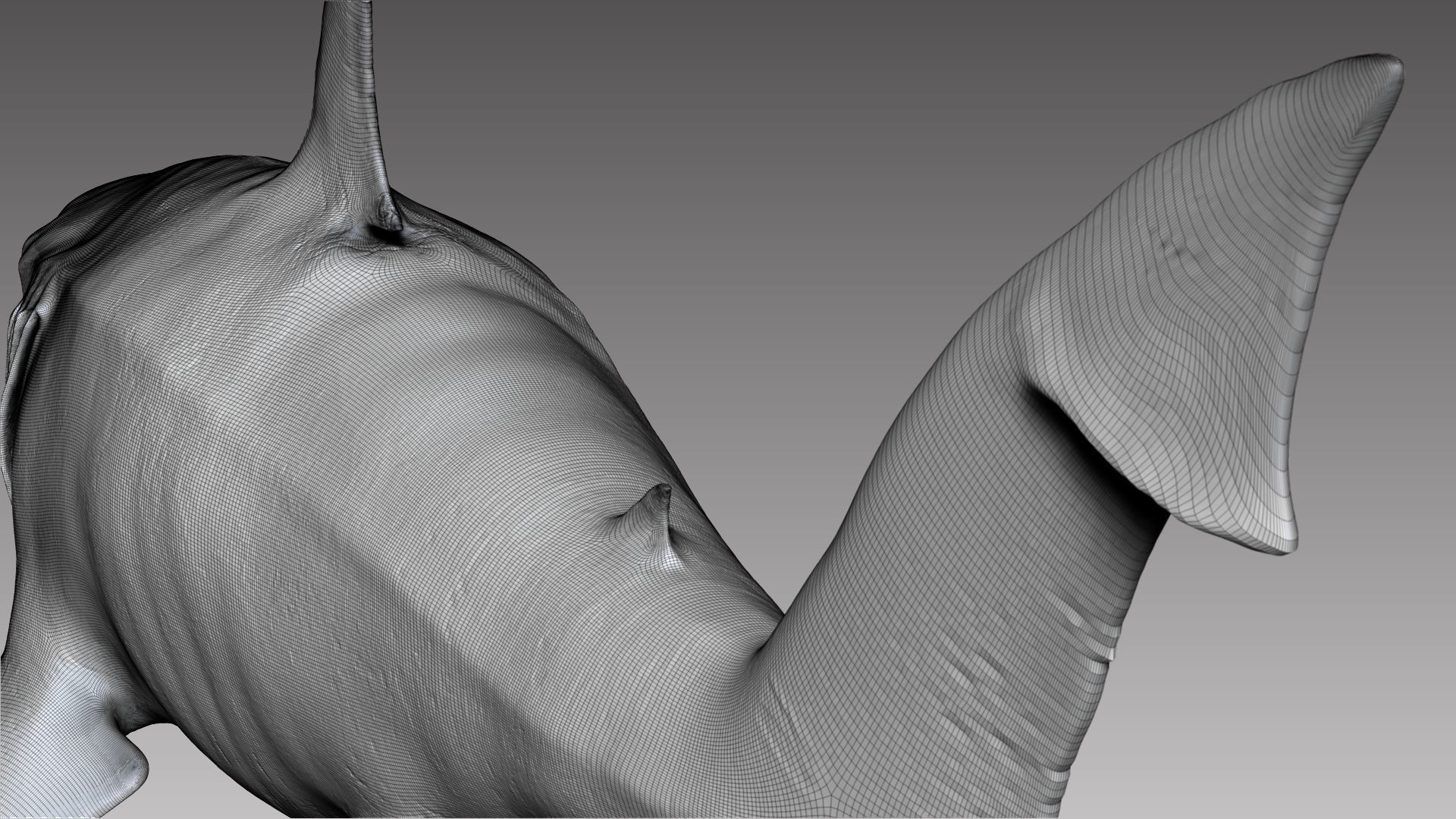 Megalodon SCULPT Project 3D model | CGTrader