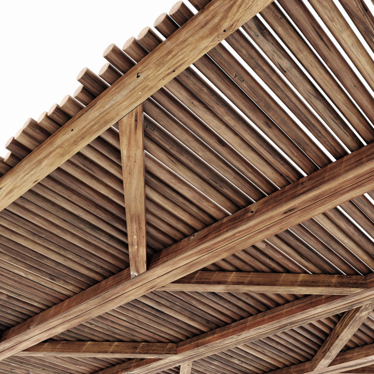 Ceiling diagonal branch straight n1 3D model | CGTrader