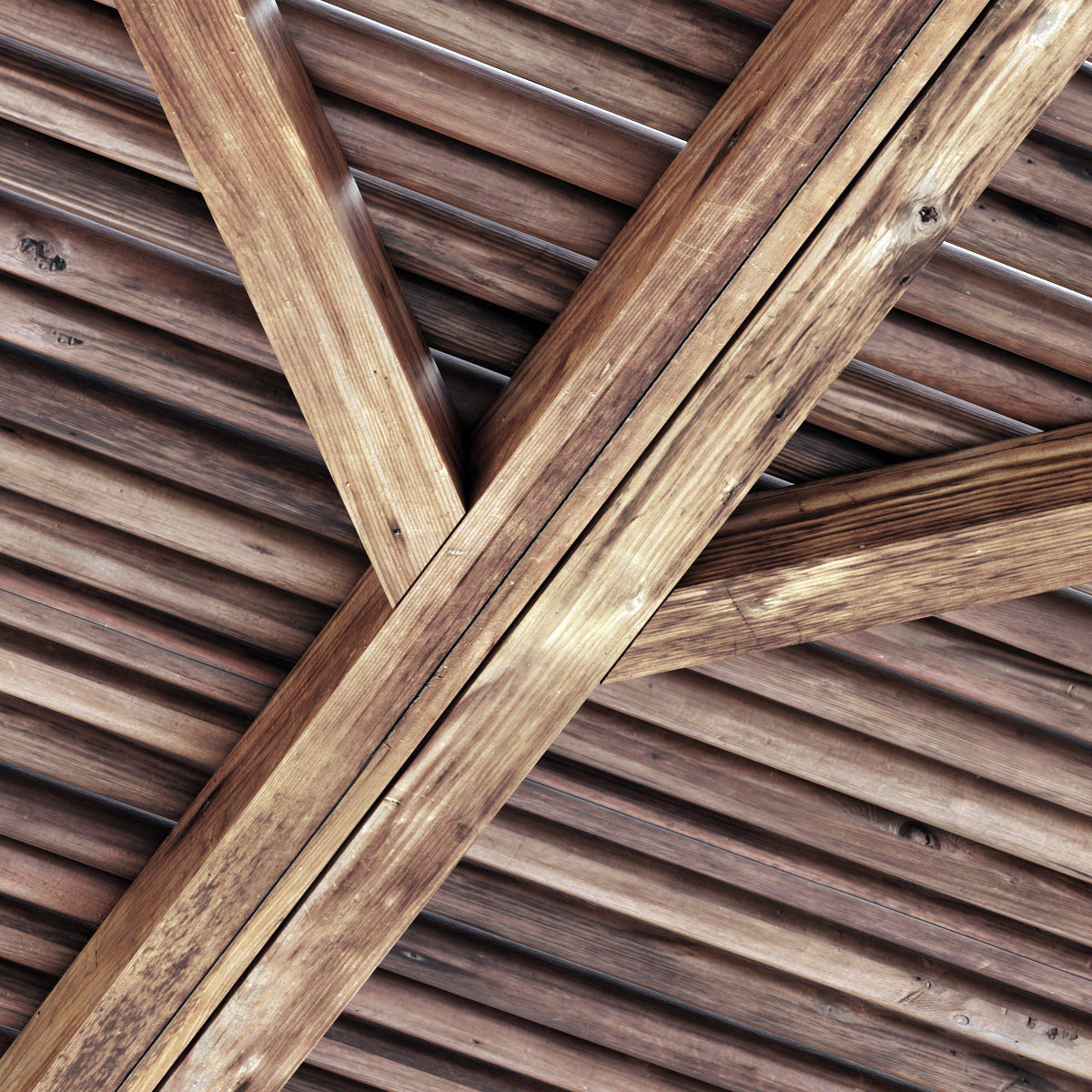 Ceiling diagonal branch straight n1 3D model | CGTrader