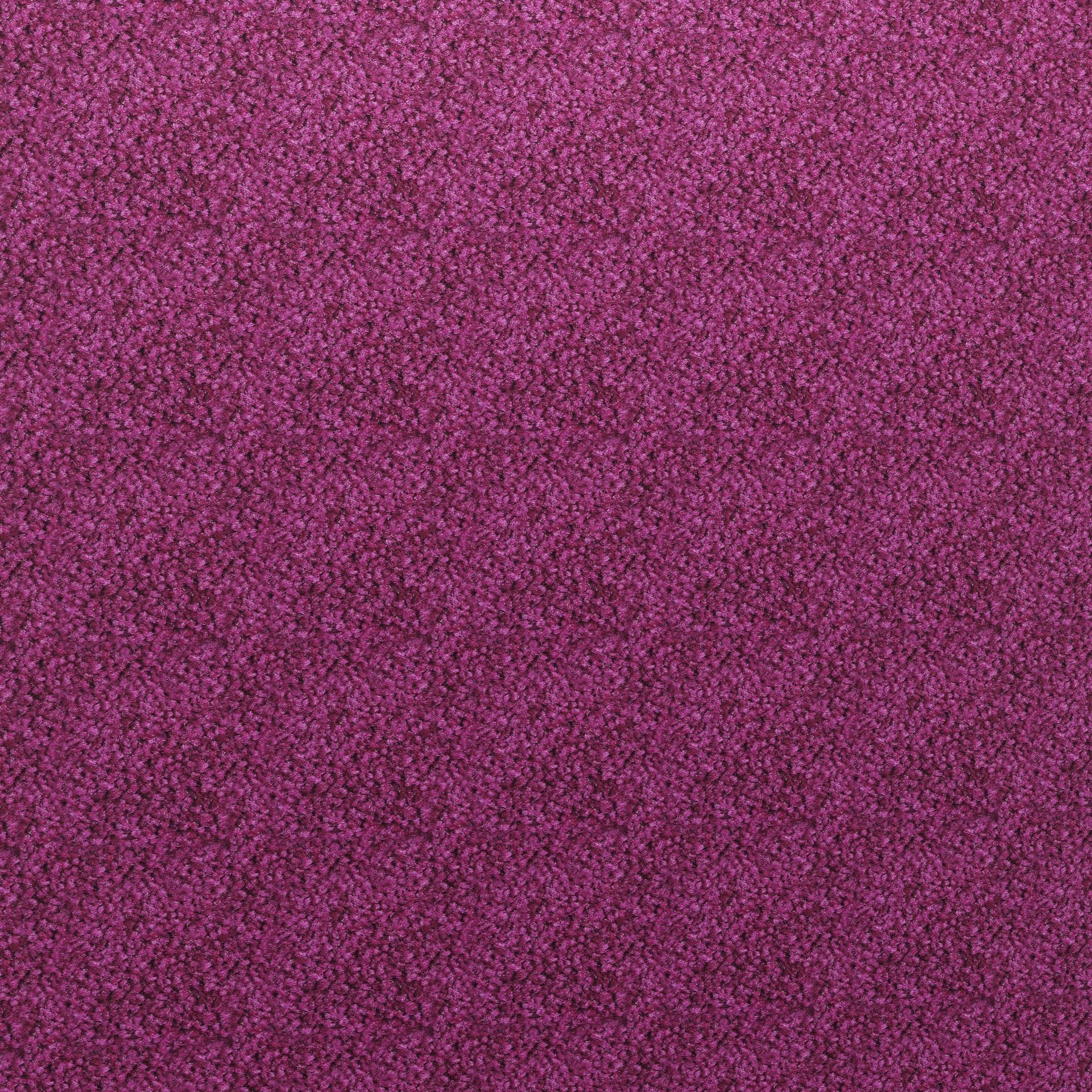 Seamless texture of carpet Texture | CGTrader