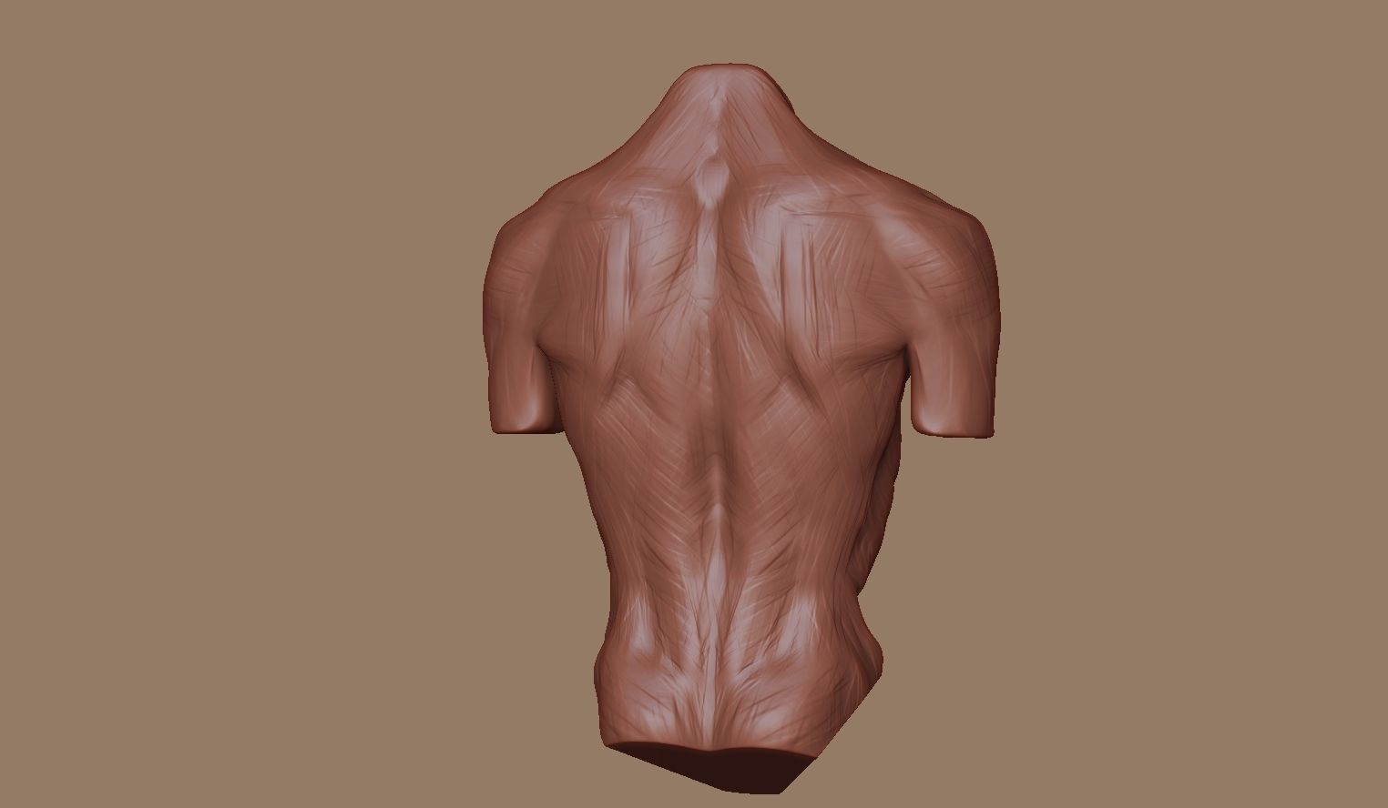 Zombie body Anatomy 3D model 3D printable | CGTrader