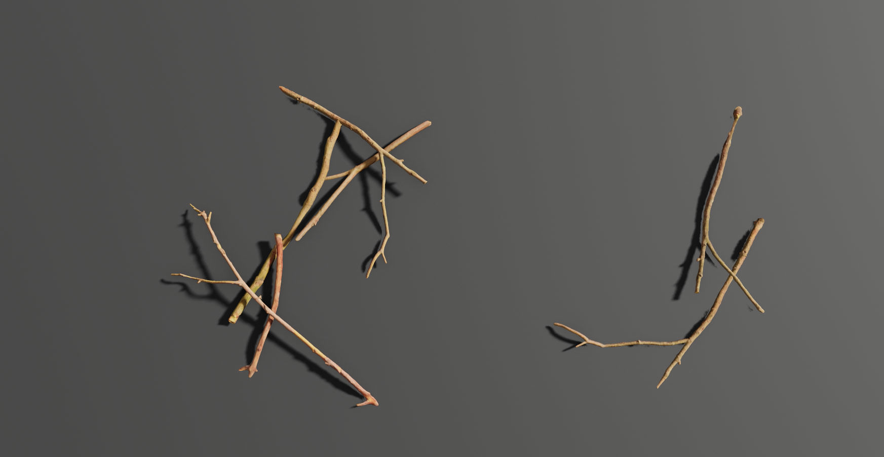 3D model PBR Stick twig dead broken Scan Pack Assembly VR / AR / low ...