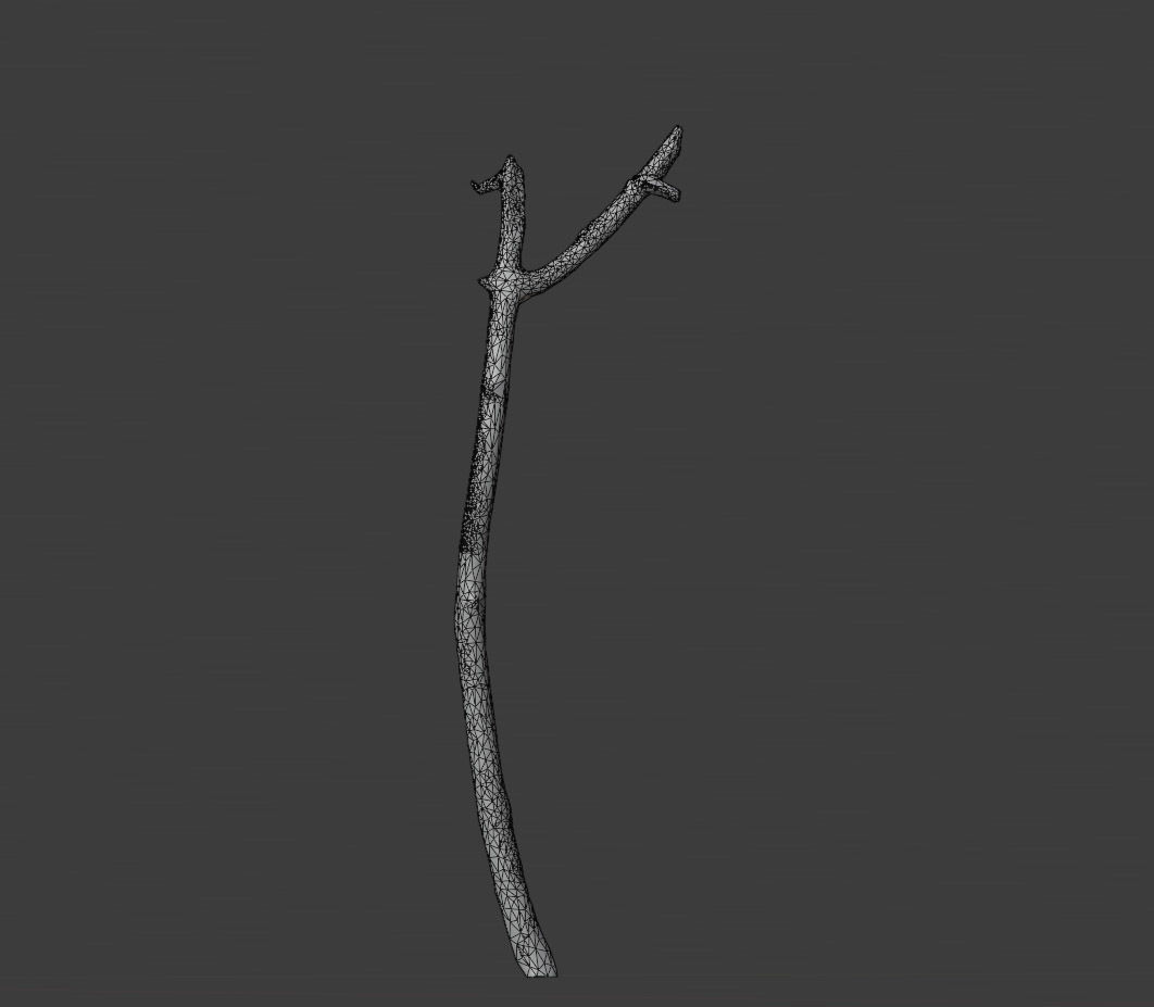 Free PBR Stick twig dead broken Scan free VR / AR / low-poly 3D model ...