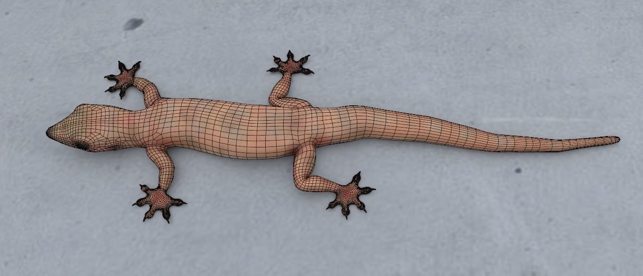 3D model Wall Gecko VR / AR / low-poly | CGTrader