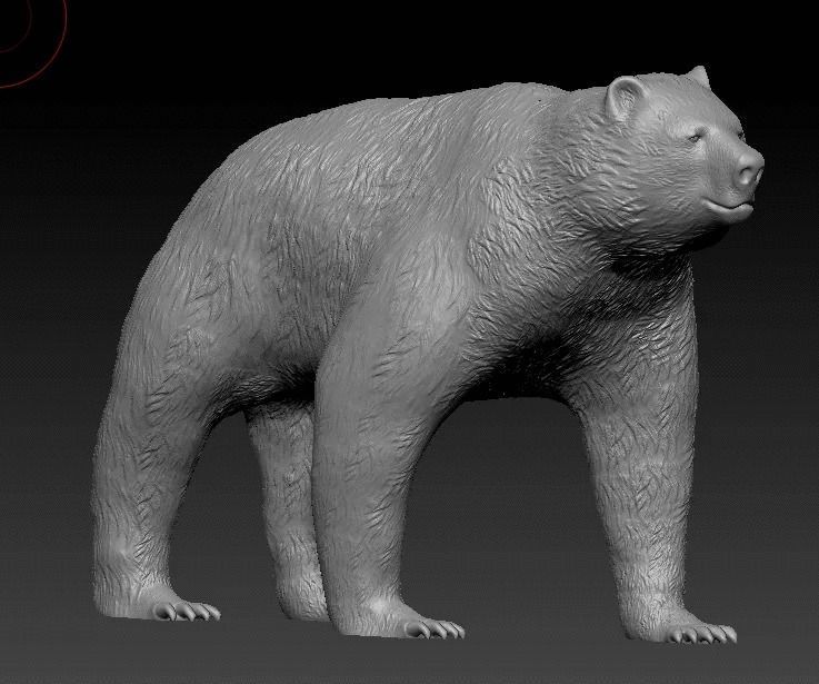 Short-Faced Bear Arctodus pristinus giant extinct bear 3D Print 3D ...