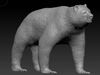 Short-Faced Bear Arctodus pristinus giant extinct bear 3D Print 3D ...