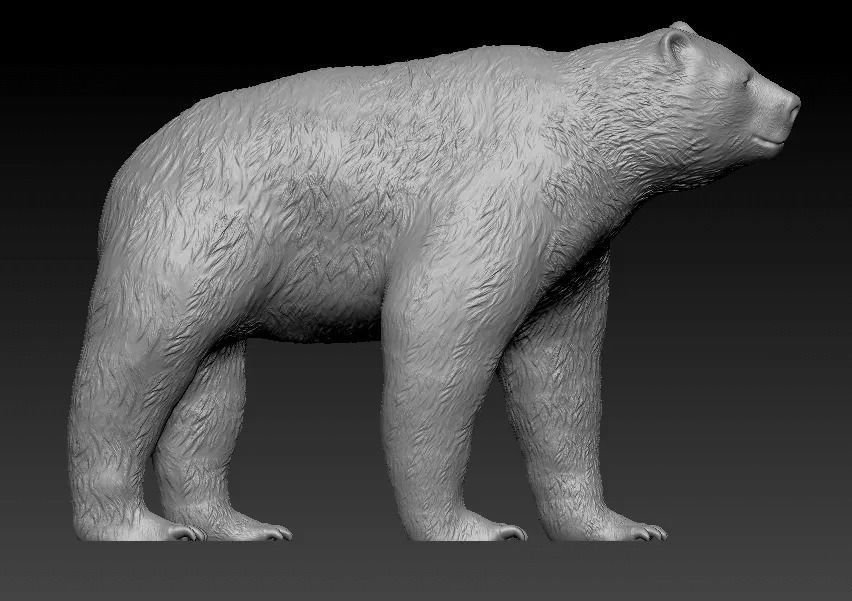 Short Faced Bear Giant Extinct Bear 3D Print Model Figurine 3D model 3D ...