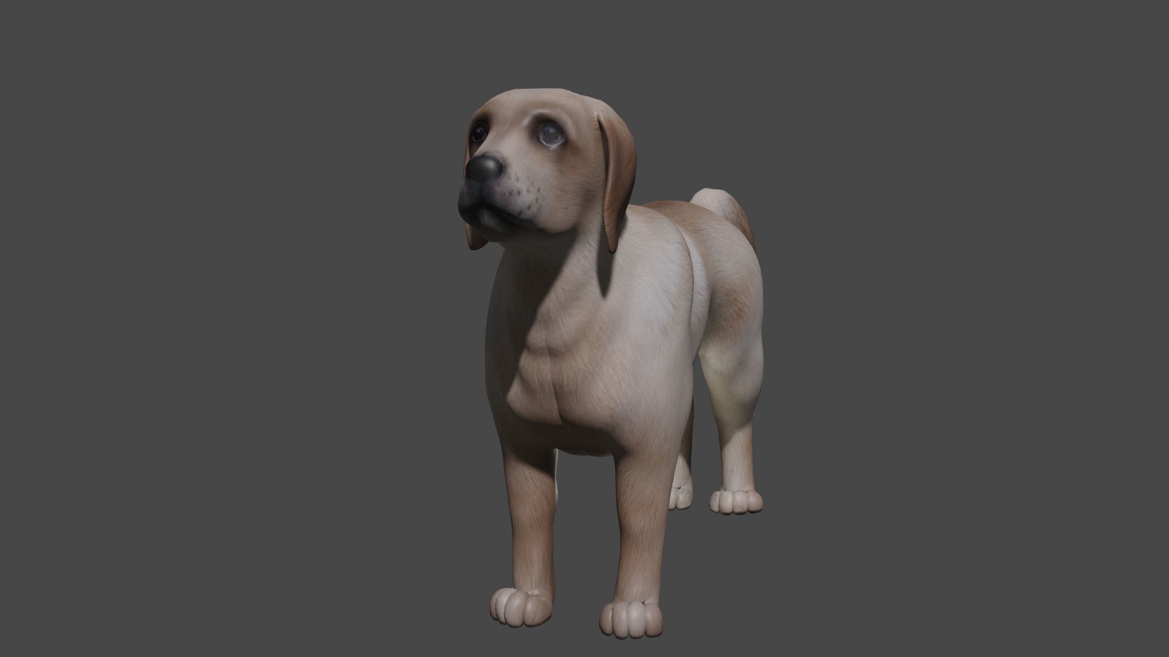 3D model Labrador Dog Breed 3D Model for Games and VR VR / AR / low ...