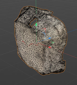 half eggs box 3D model | CGTrader