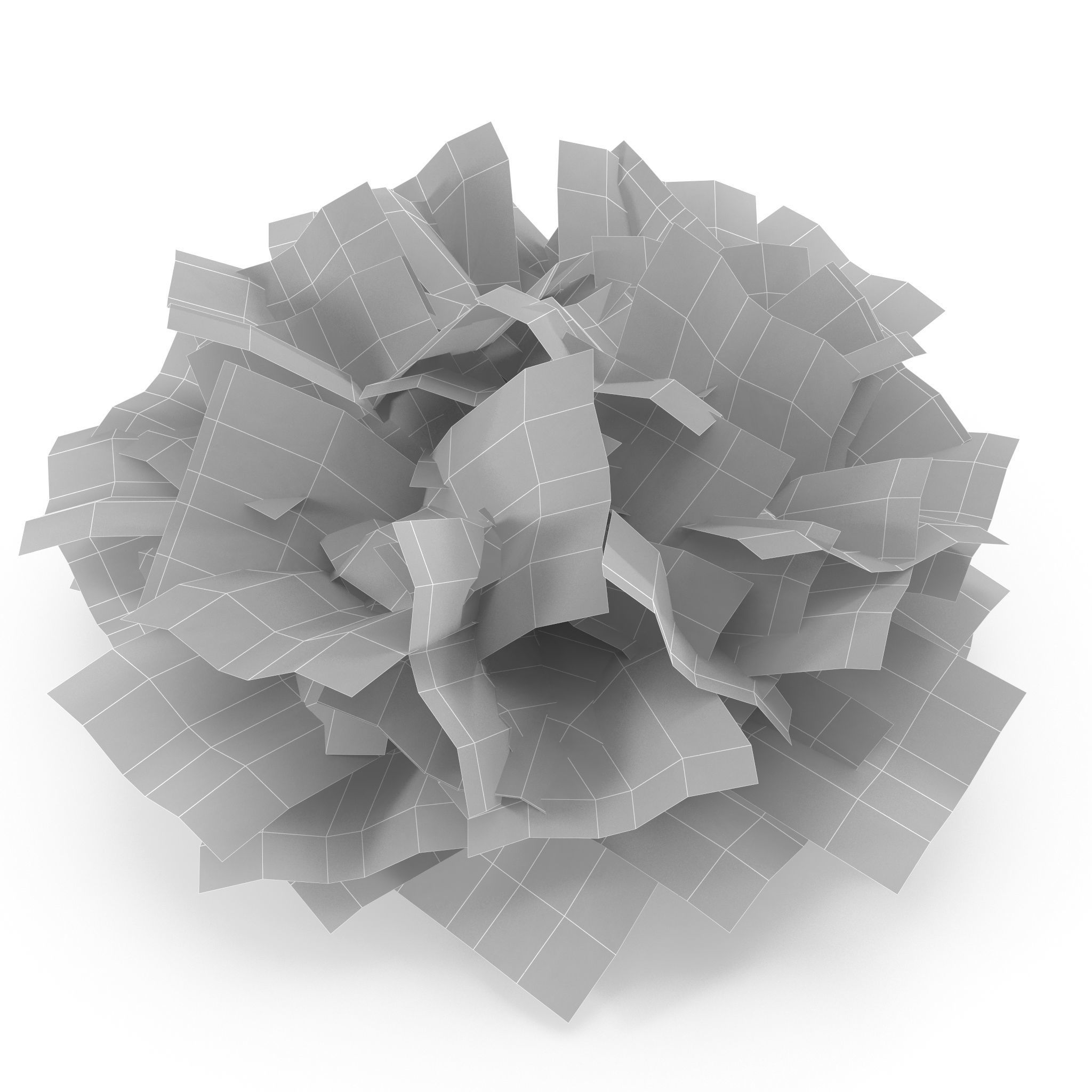 Selaginella V3 3D model | CGTrader