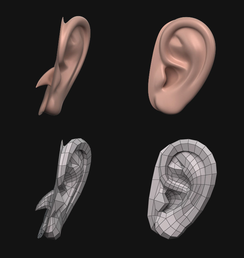 Ear Human 3D model | CGTrader