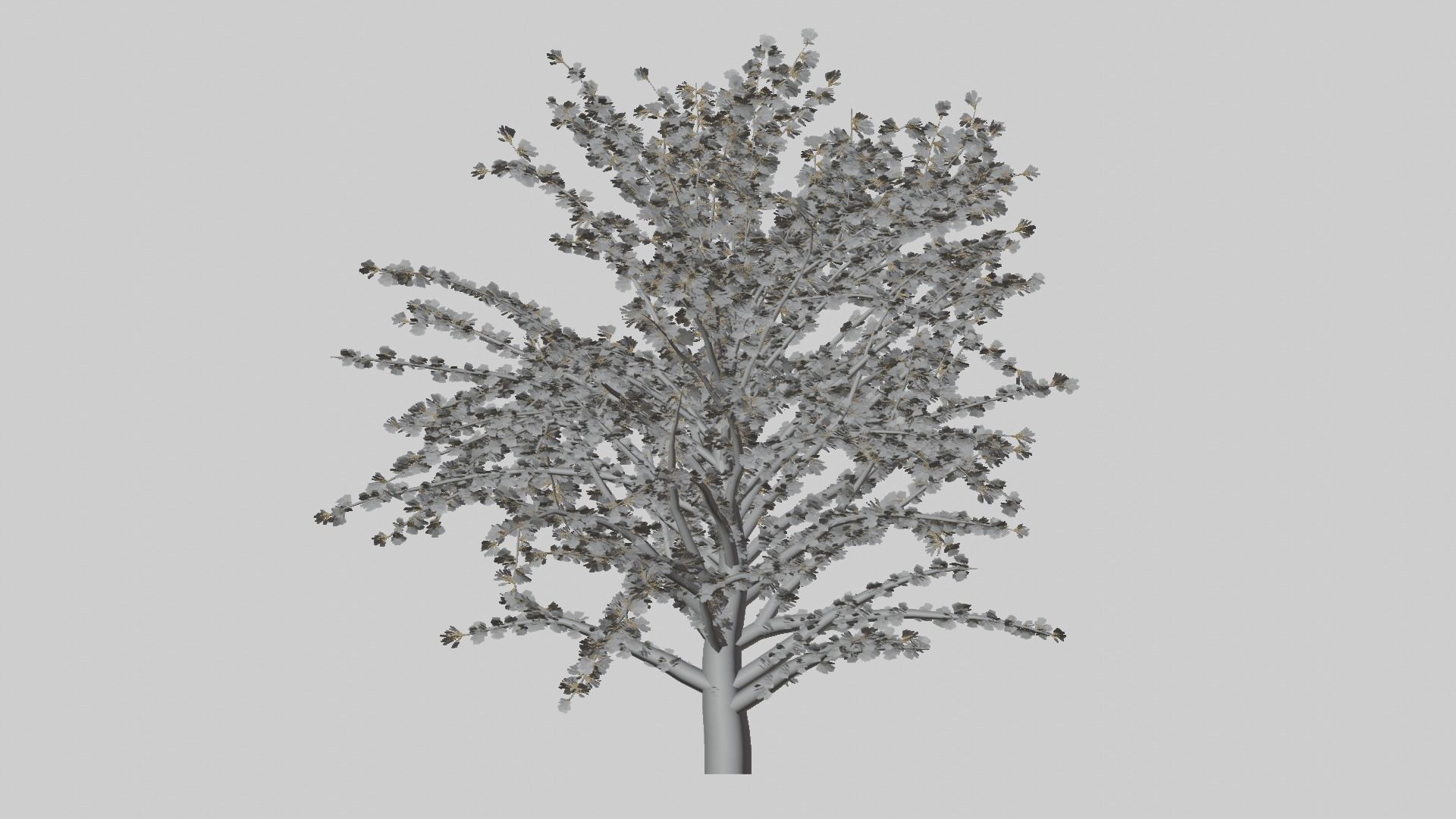 Cherry Blossom Tree 3D Model 3D model | CGTrader