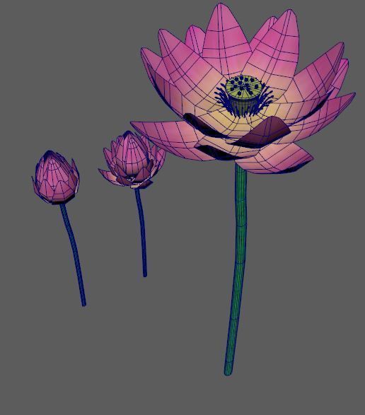 3D model 3D Lotus Flower collection low poly PBR 3D model VR / AR / low ...