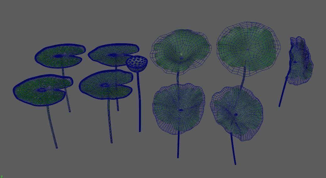 3D model 3D Lotus Flower collection low poly PBR 3D model VR / AR / low ...