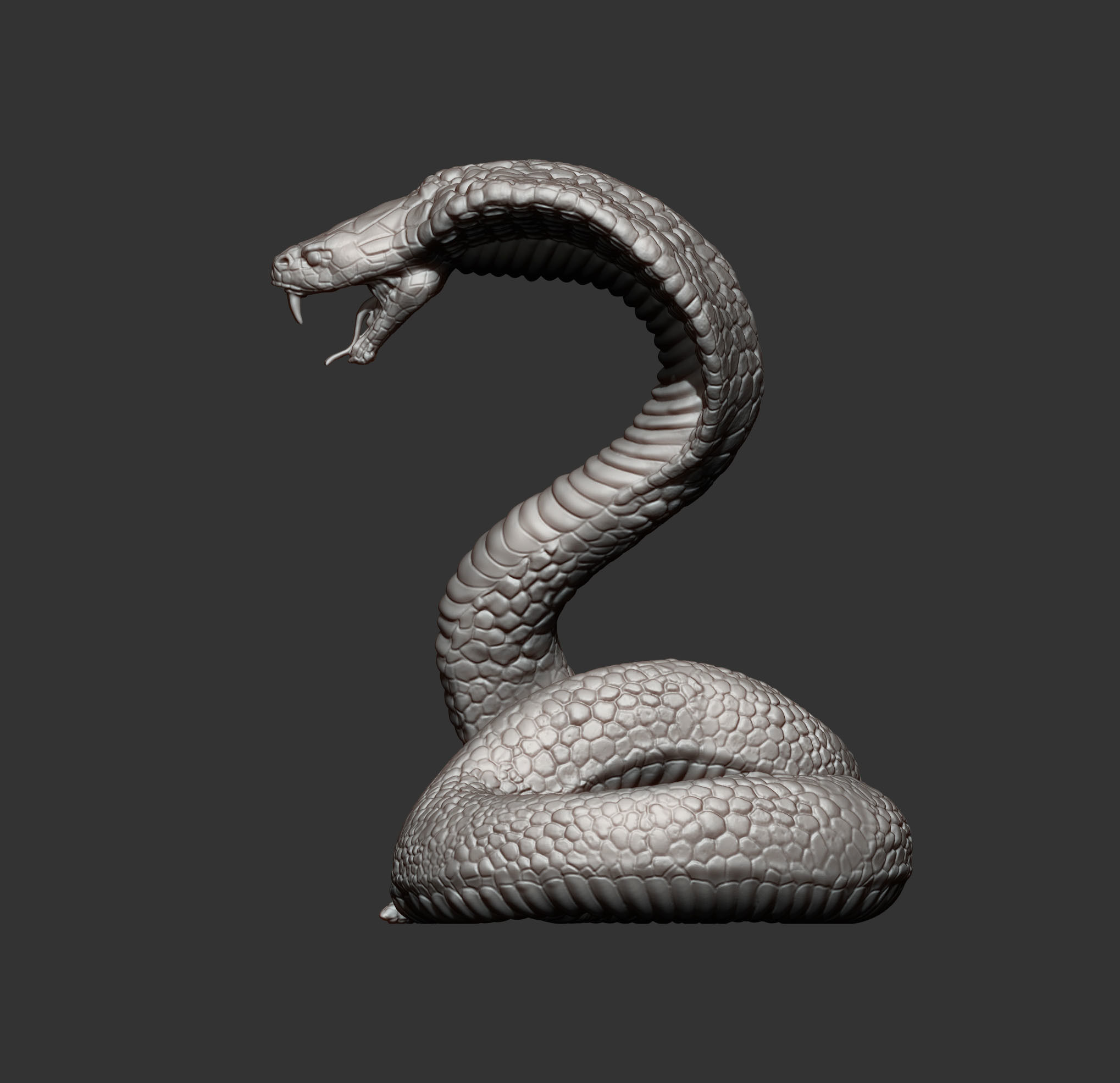 cobra snake 3D model 3D printable | CGTrader
