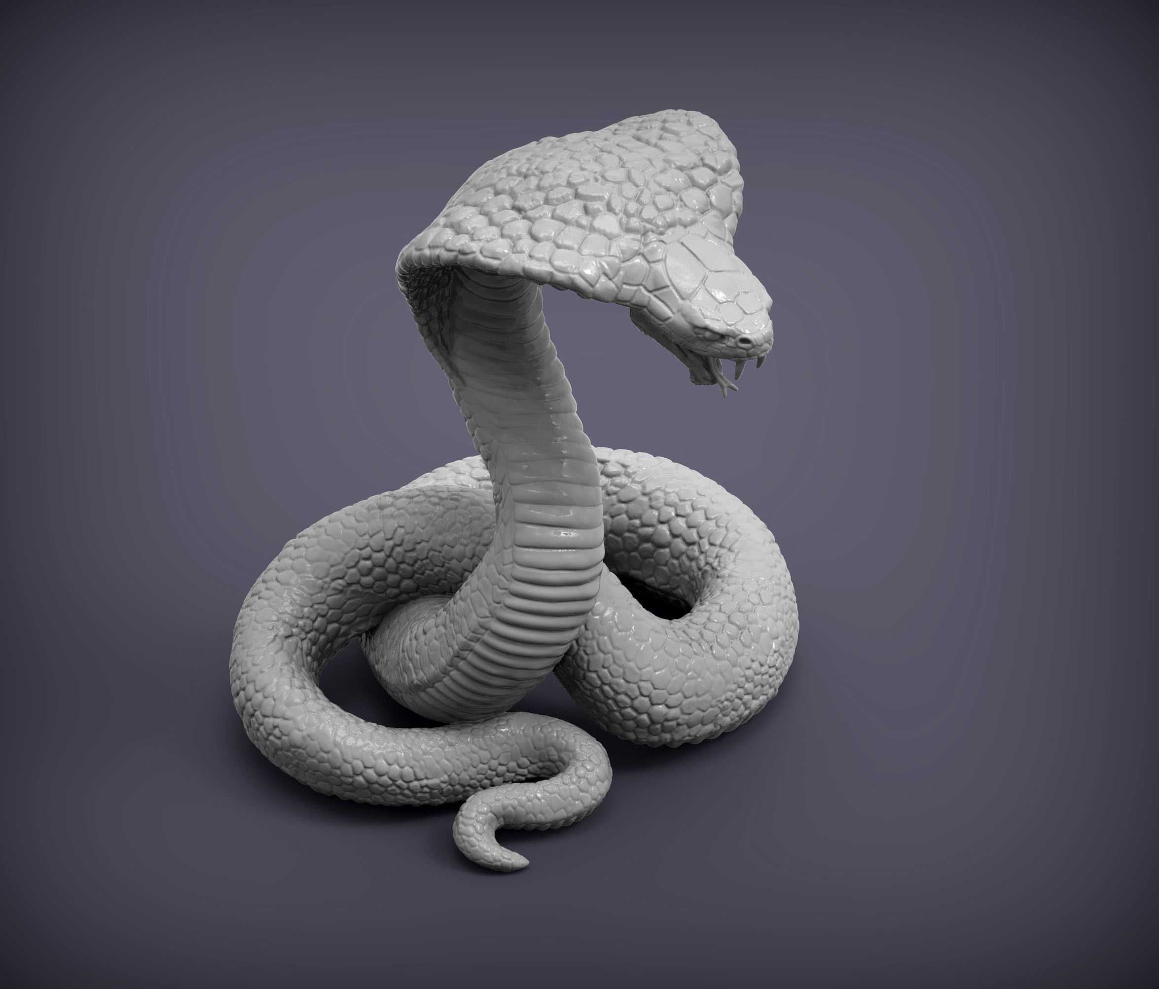 cobra snake 3D model 3D printable | CGTrader