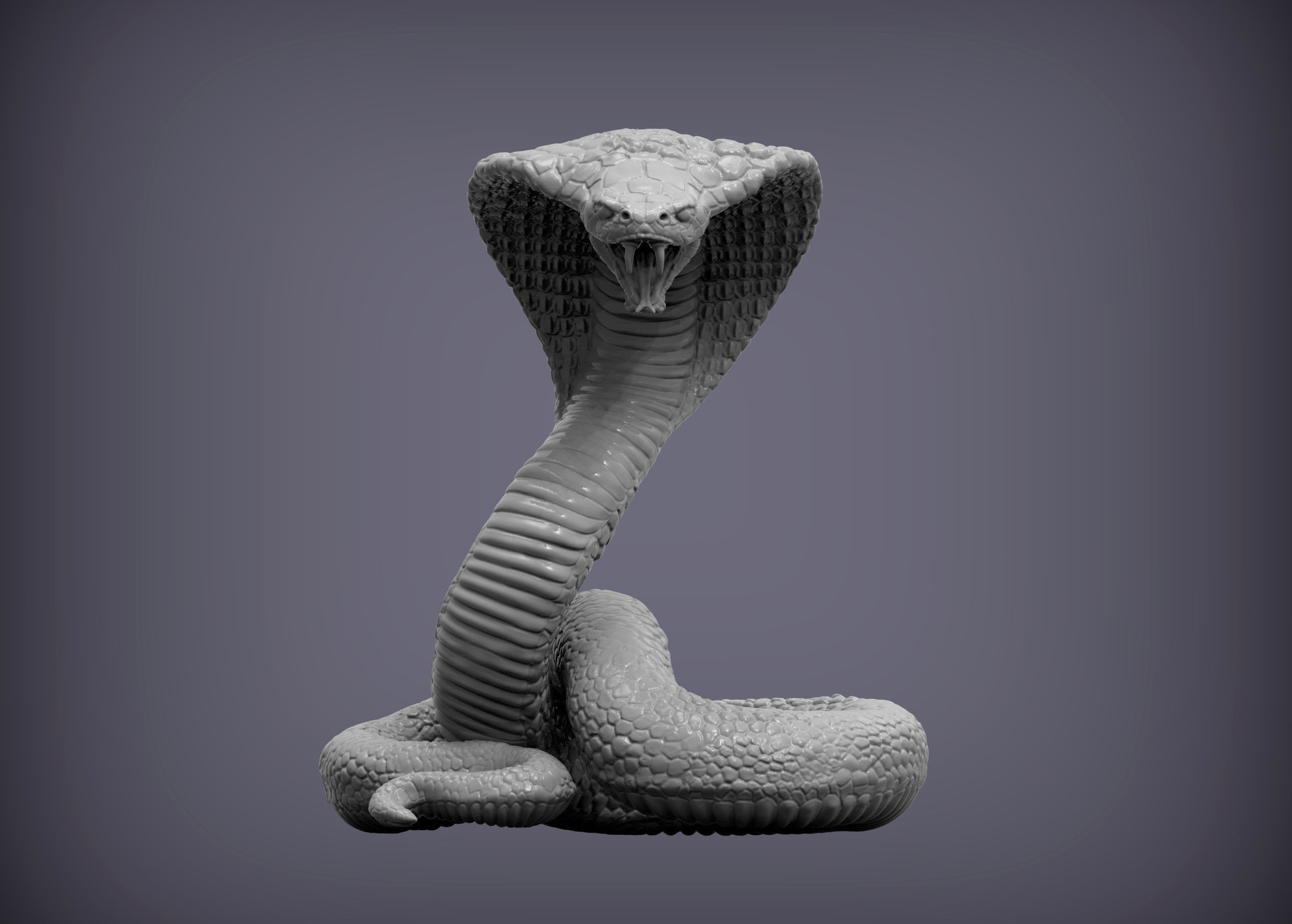 cobra snake 3D model 3D printable | CGTrader