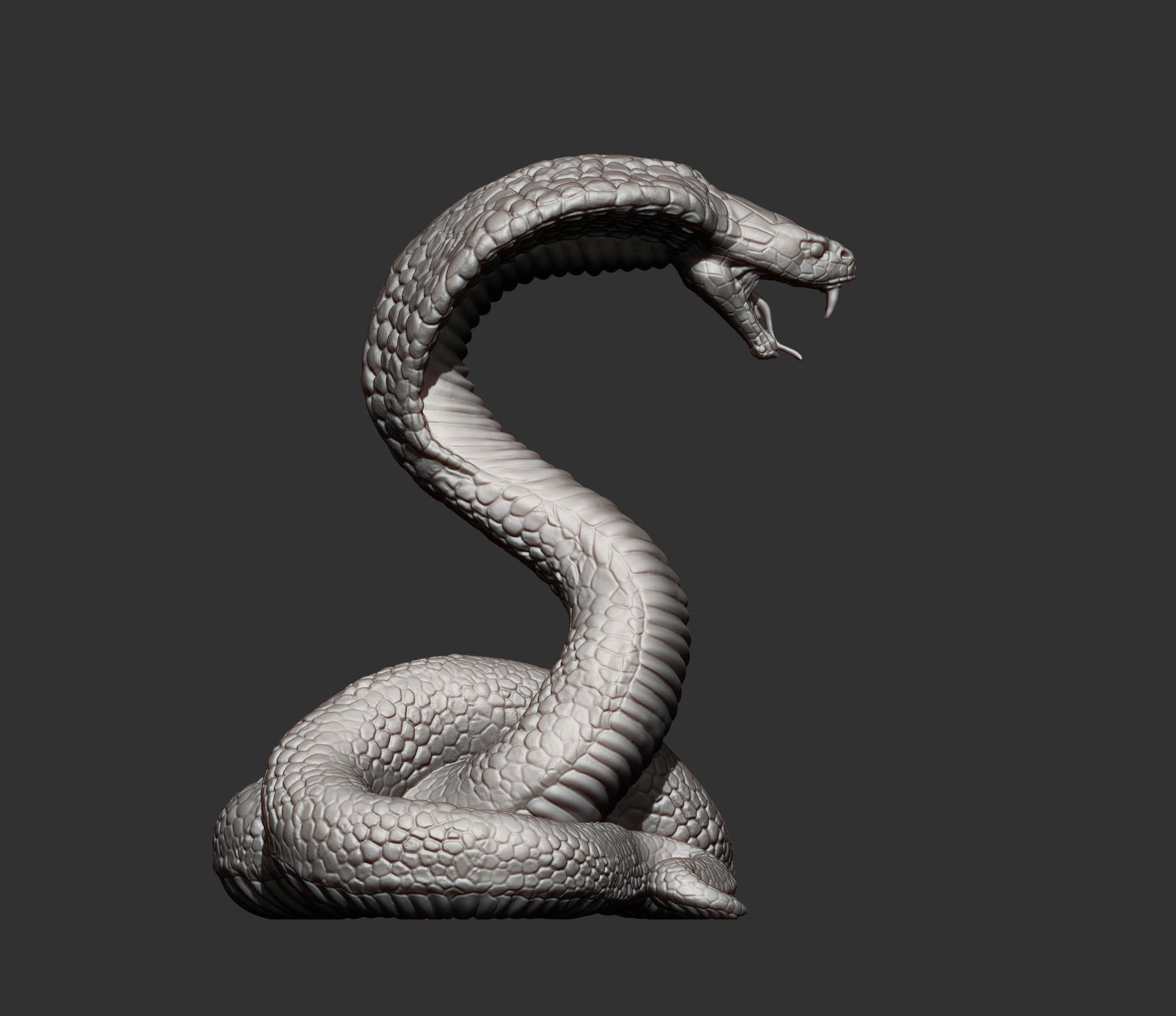 cobra snake 3D model 3D printable | CGTrader