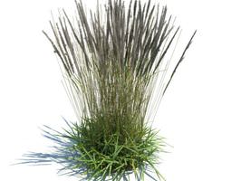 Grass patch 3D Models | CGTrader