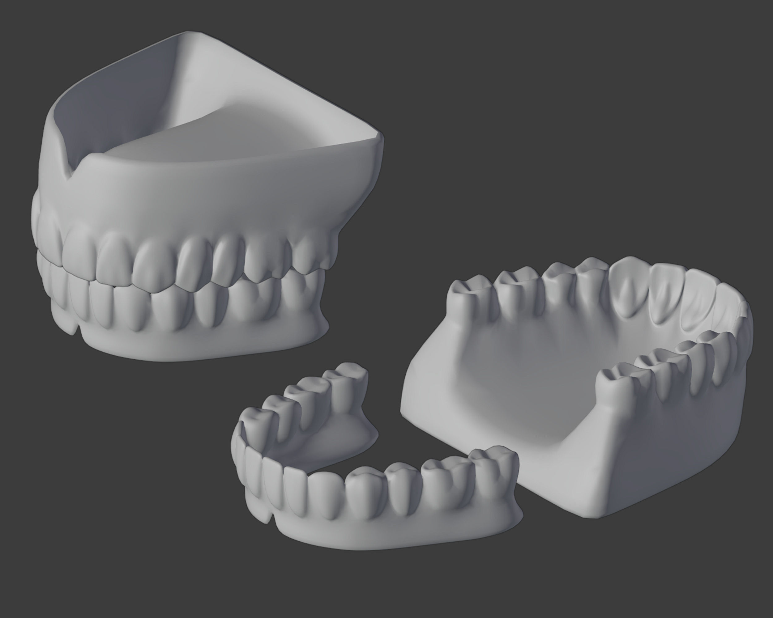 Human Teeth 3D model | CGTrader