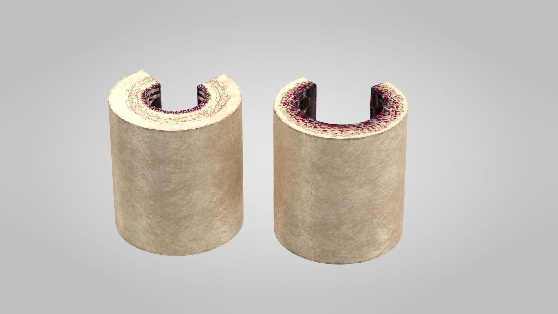 Healthy and Osteoporotic Bone Section 3D model | CGTrader