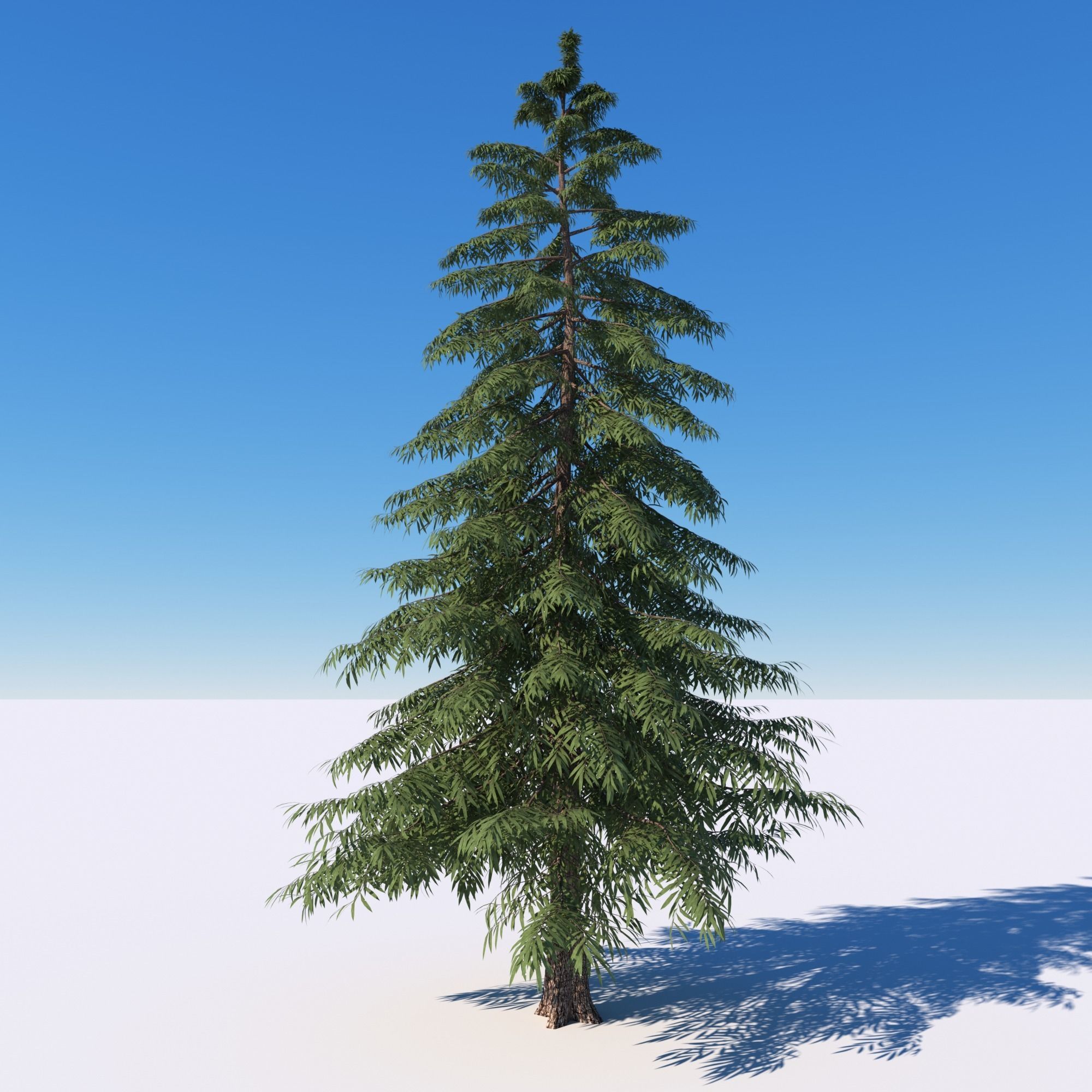 3 Trees 3D Model tree with leaves 3D model | CGTrader