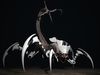 3D model Cyborg Scorpion VR / AR / low-poly | CGTrader