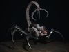 3D model Cyborg Scorpion VR / AR / low-poly | CGTrader