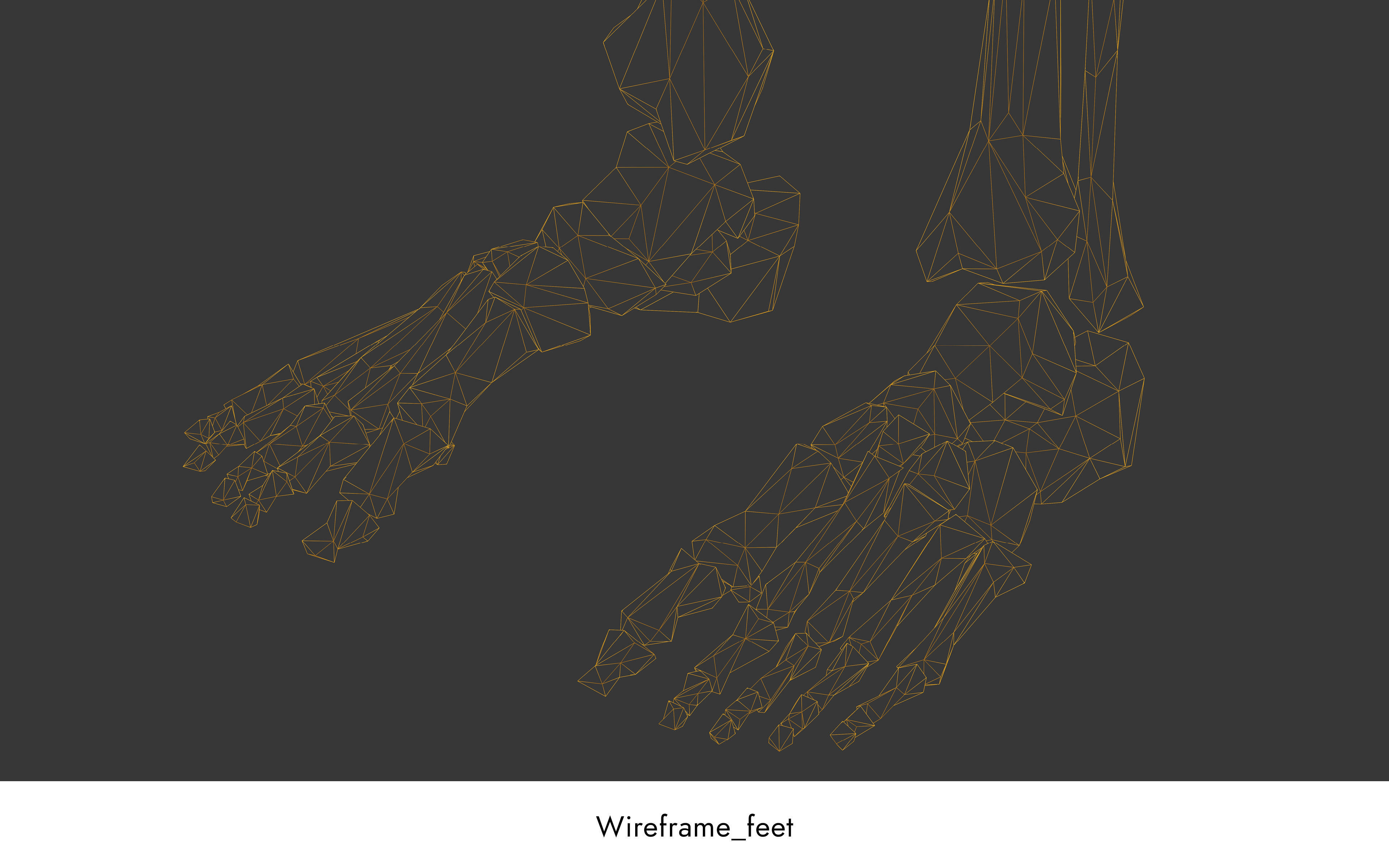 3D model Low poly rigged male skeleton VR / AR / low-poly | CGTrader