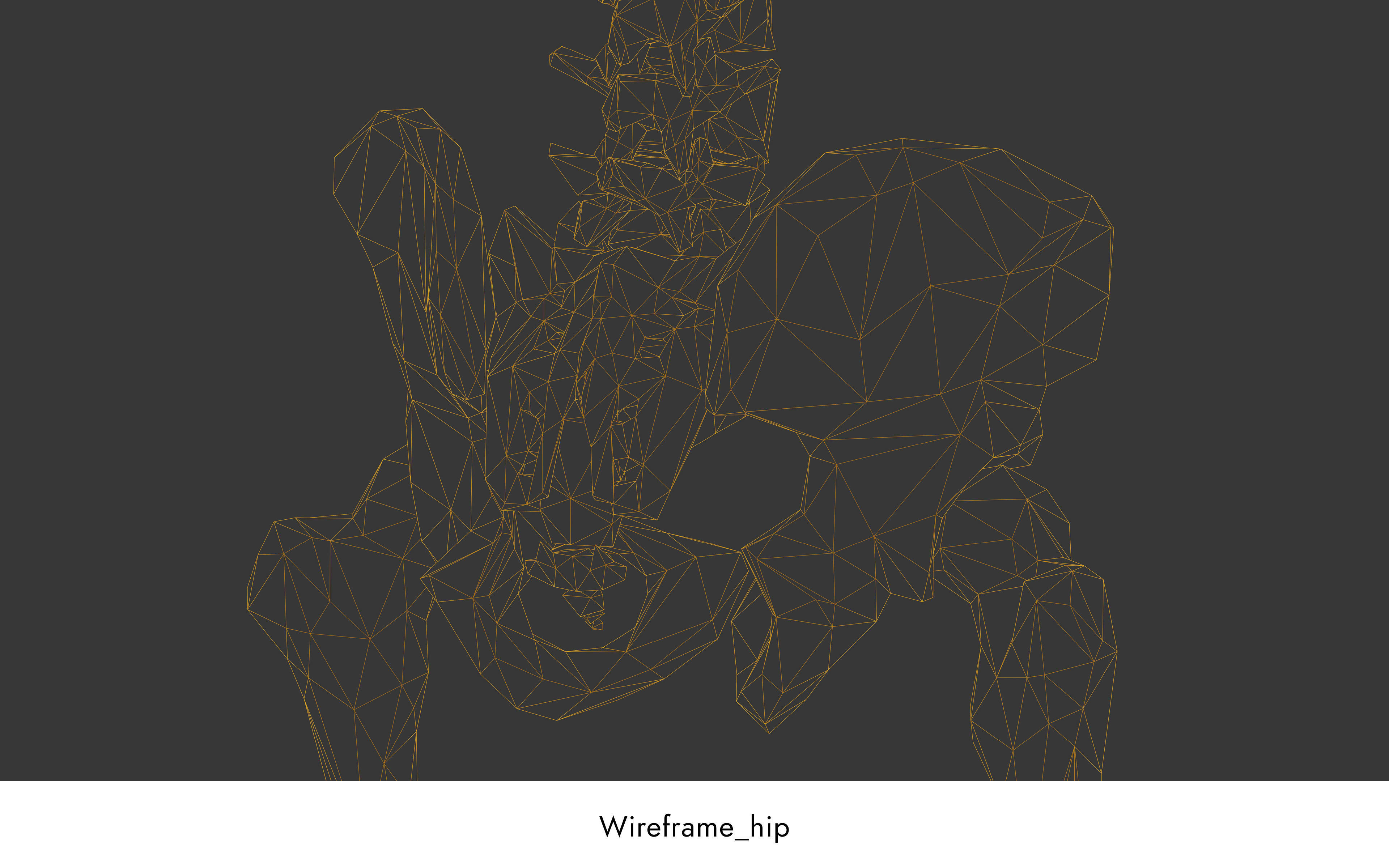 3D model Low poly rigged male skeleton VR / AR / low-poly | CGTrader