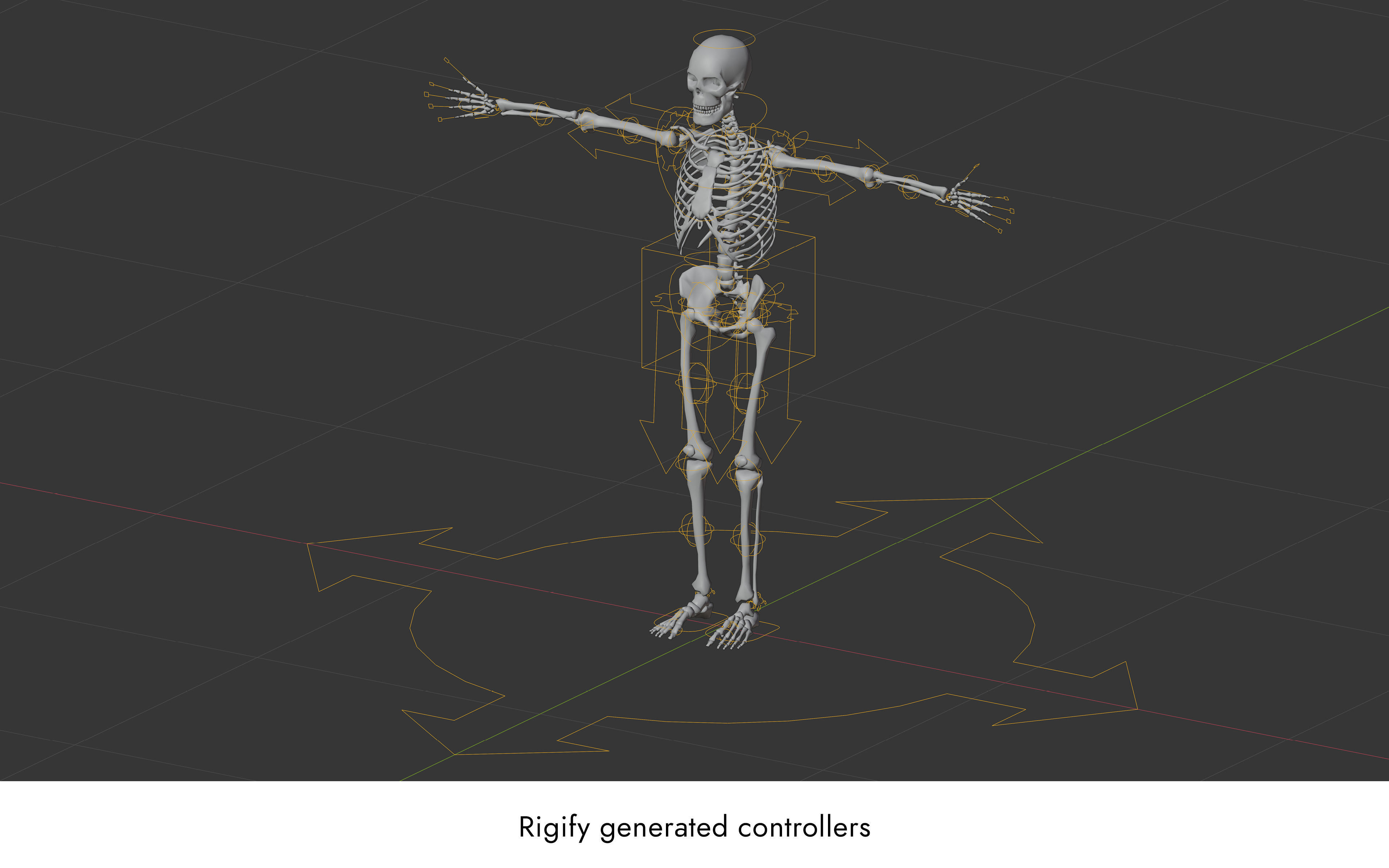 3D model Low poly rigged male skeleton VR / AR / low-poly | CGTrader