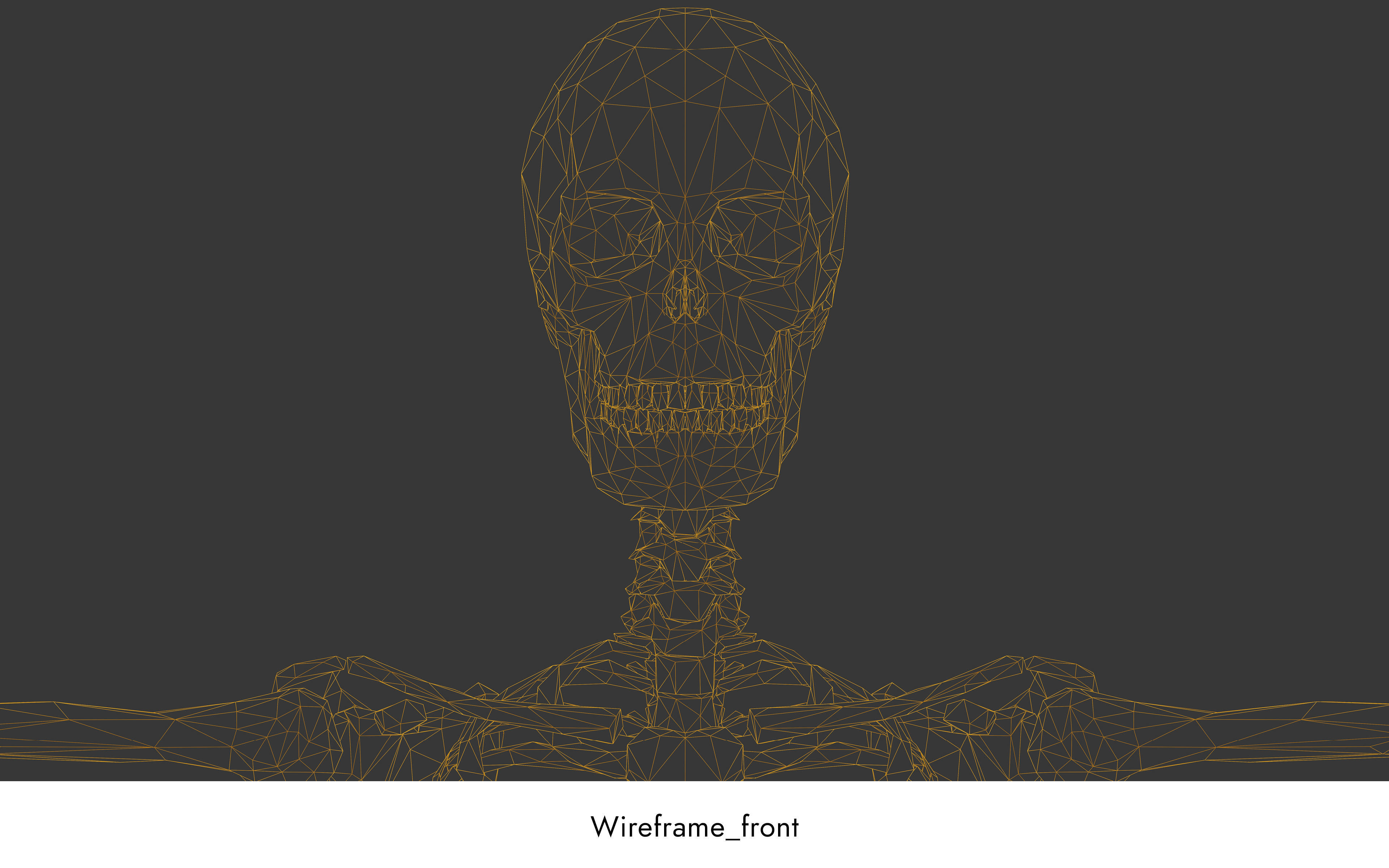 3D model Low poly rigged male skeleton VR / AR / low-poly | CGTrader