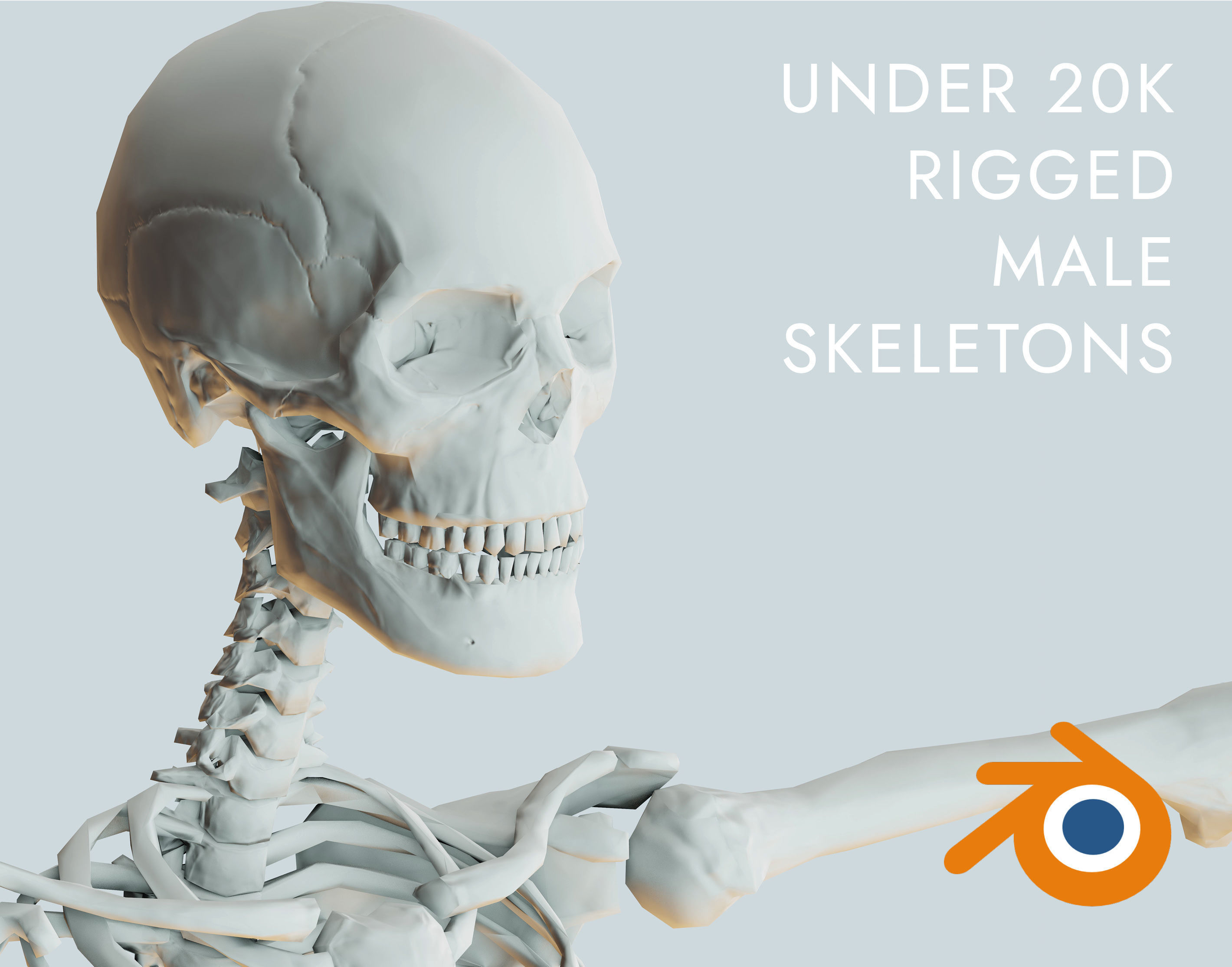 3D model Low poly rigged male skeleton VR / AR / low-poly | CGTrader