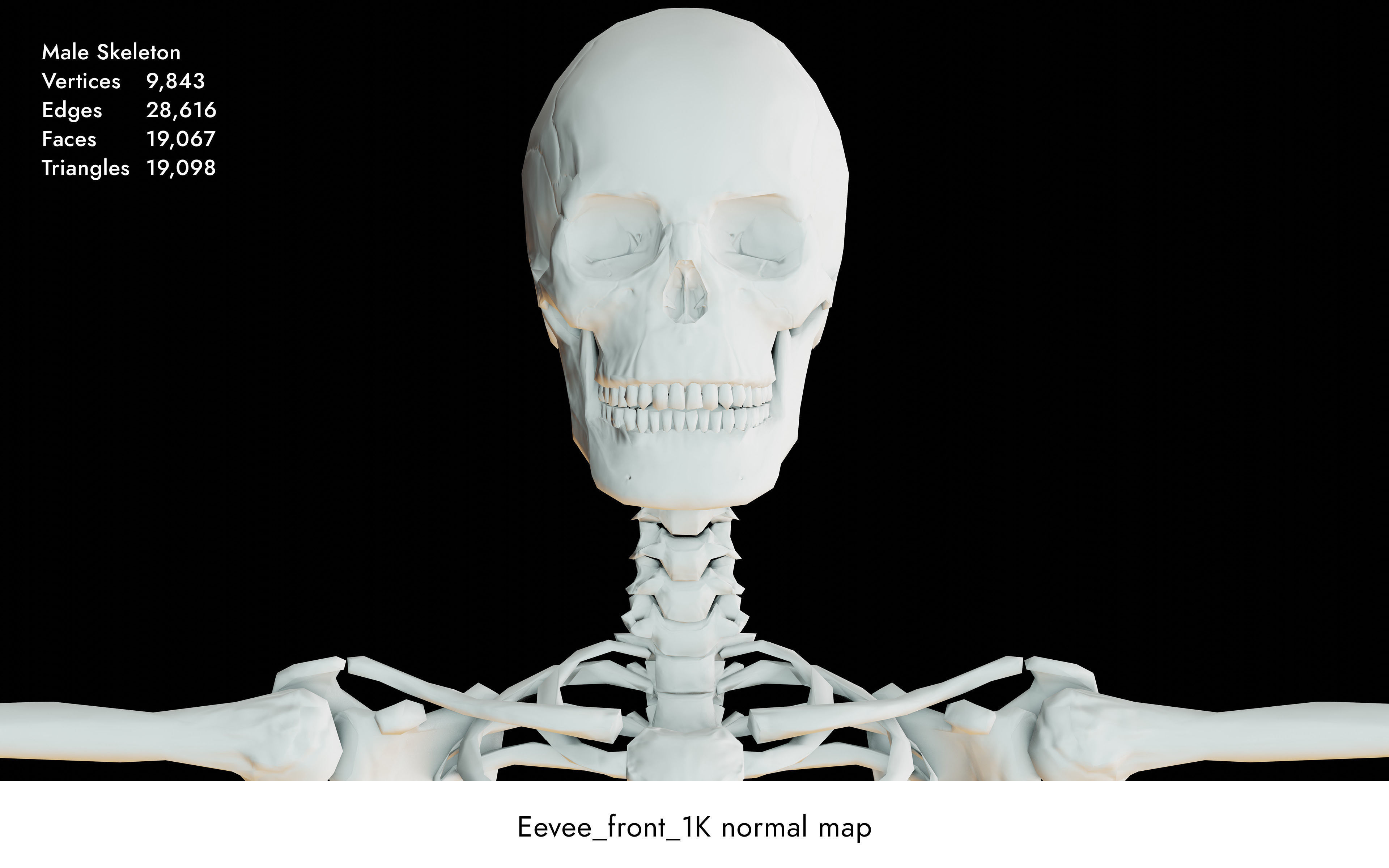 3D model Low poly rigged male skeleton VR / AR / low-poly | CGTrader