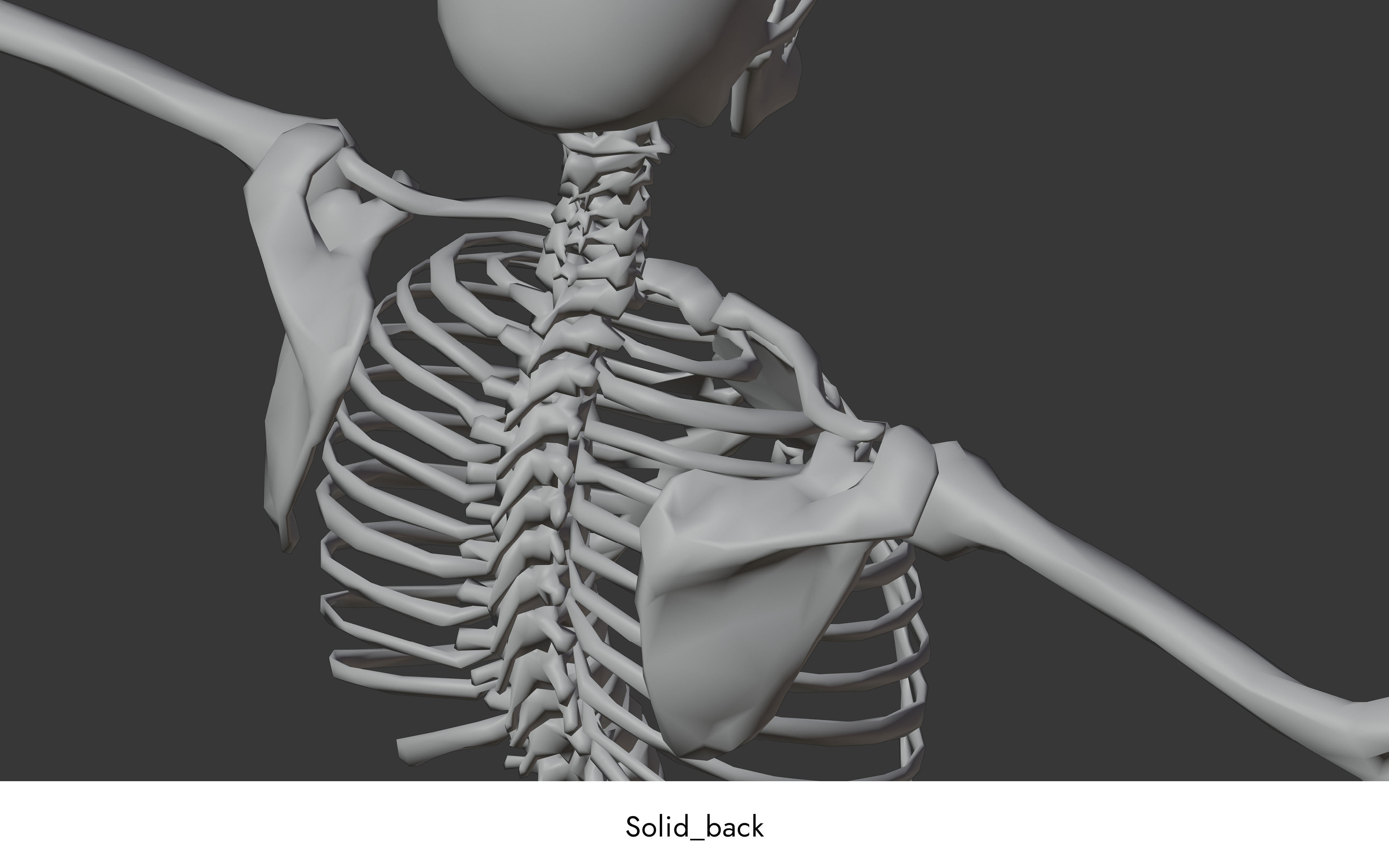 3D model Low poly rigged male skeleton VR / AR / low-poly | CGTrader