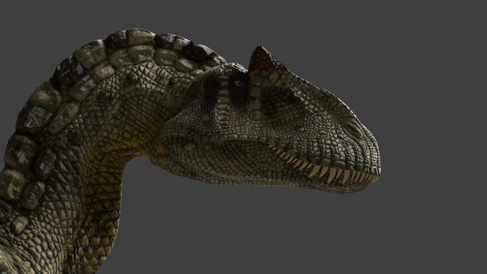 Allosaurus dinosaur 3D model animated rigged | CGTrader