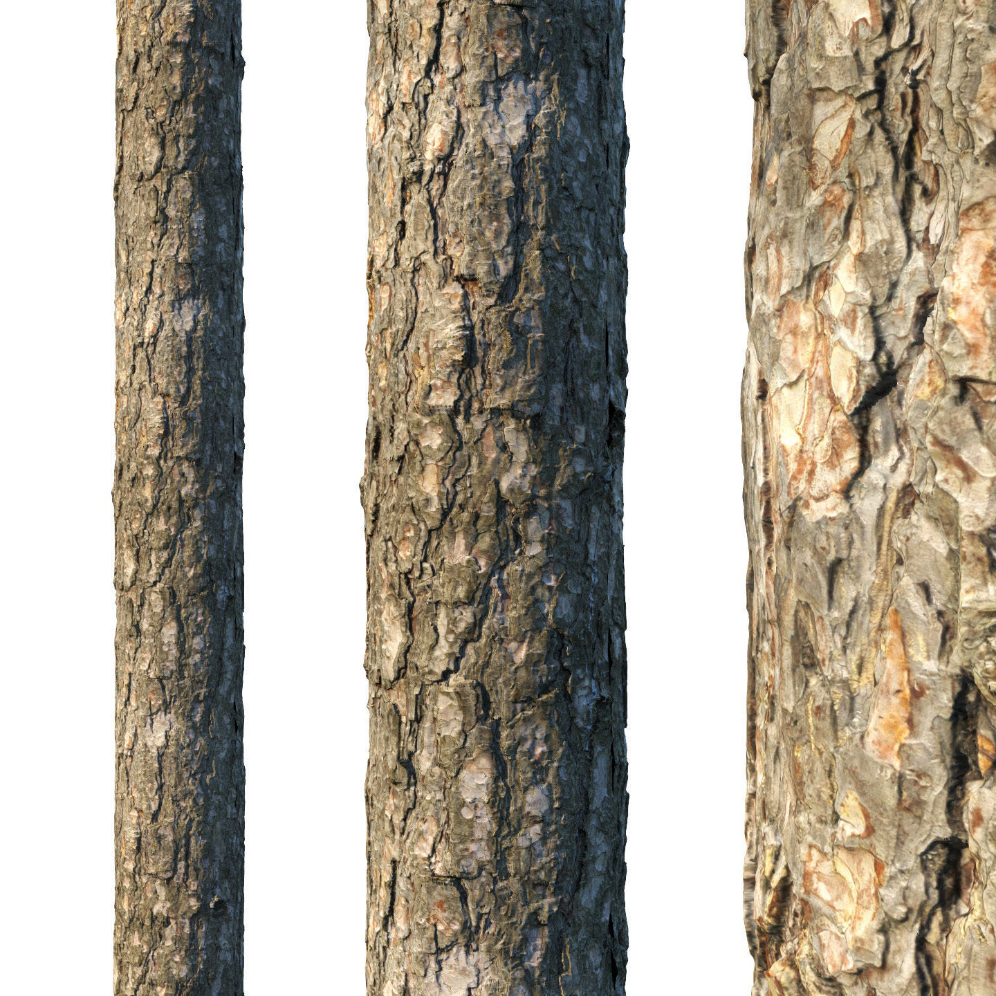 4k Pine bark material 02 Texture | CGTrader