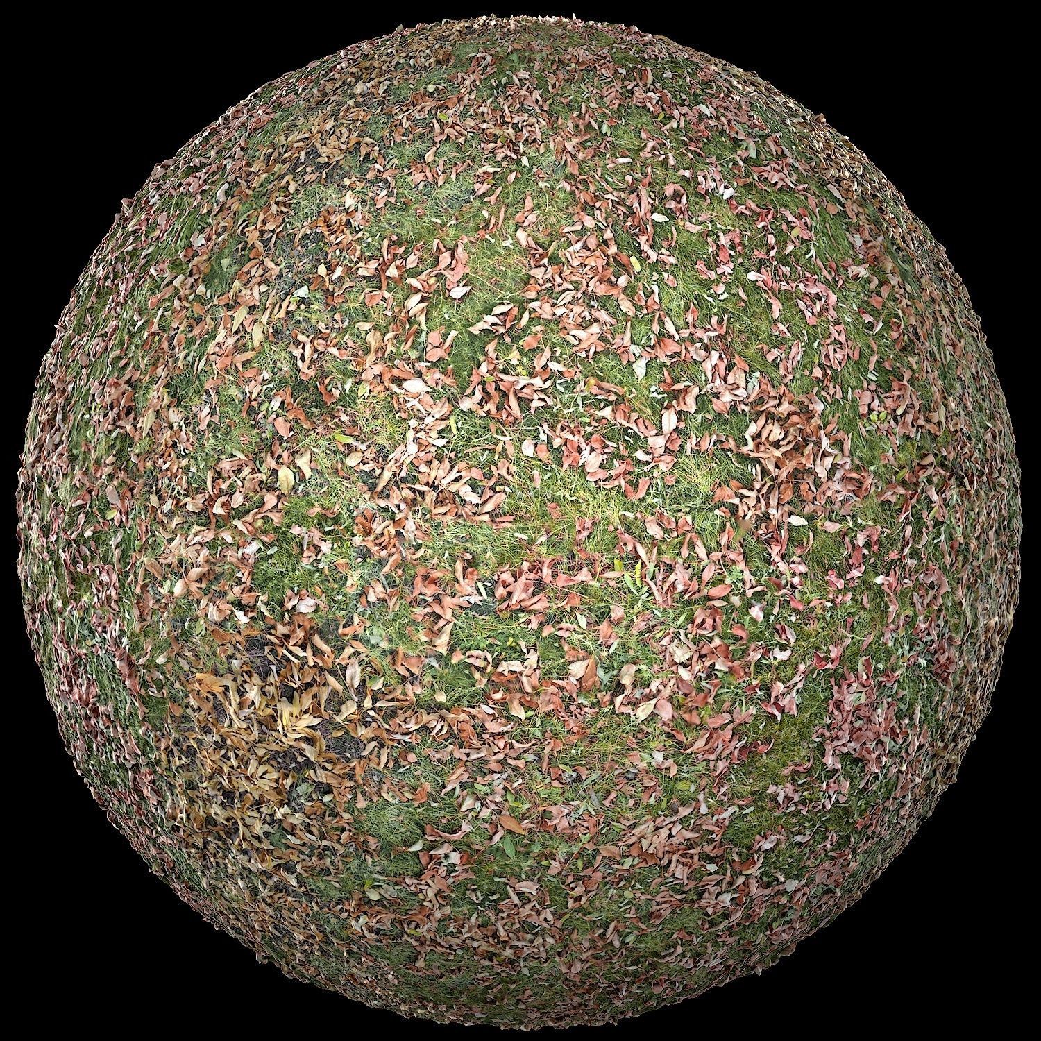 Grass and dead leaves alley way 4k Texture | CGTrader