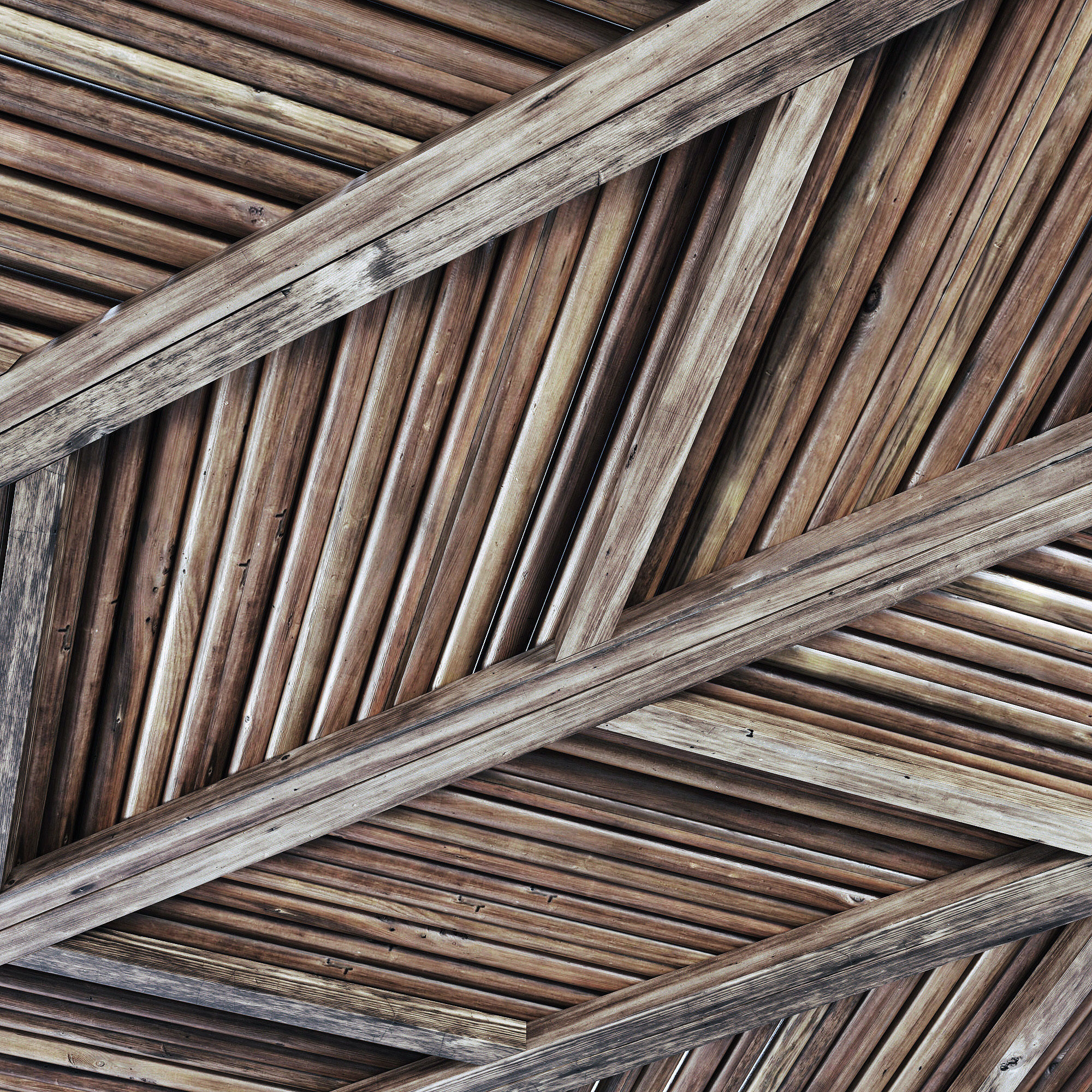 Ceiling diagonal branch straight n2 3D model | CGTrader