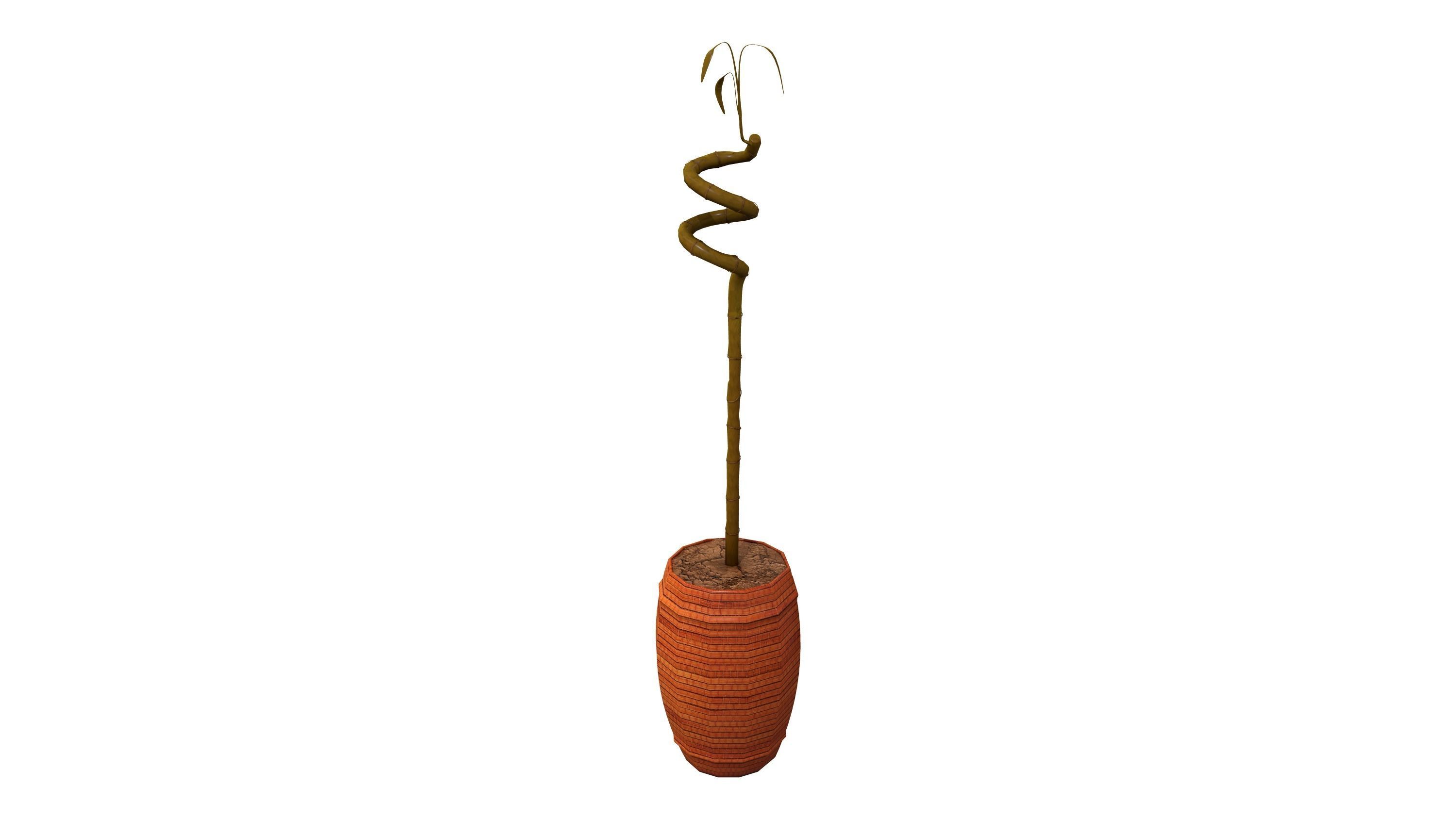 3D model Spiral Bamboo Stick Interior Plant VR / AR / low-poly | CGTrader
