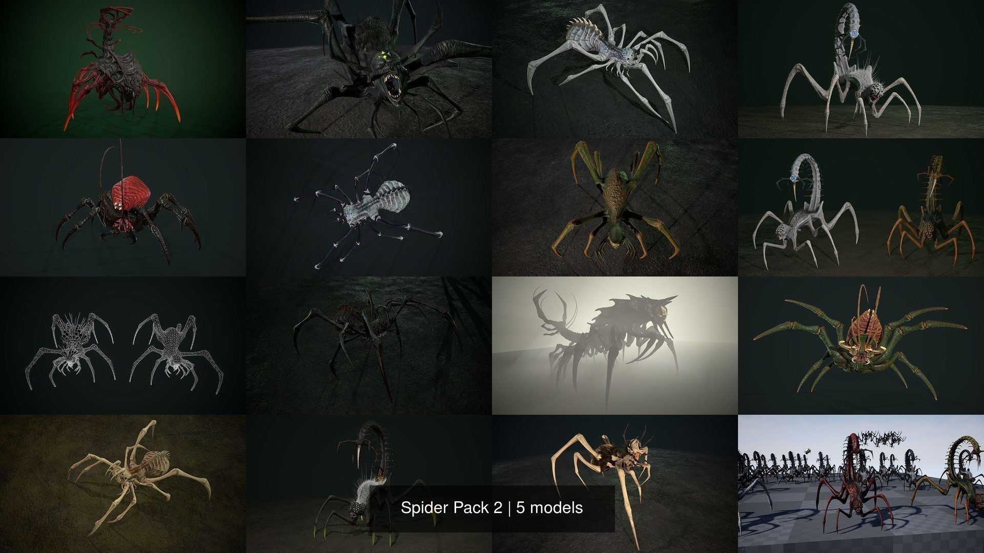 3D Model Collection Spider Pack 2 VR / AR / low-poly | CGTrader