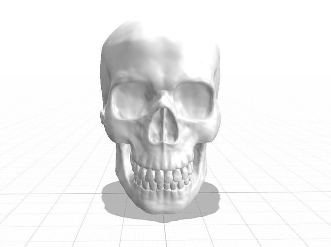 Skull stl file free 3D model | CGTrader